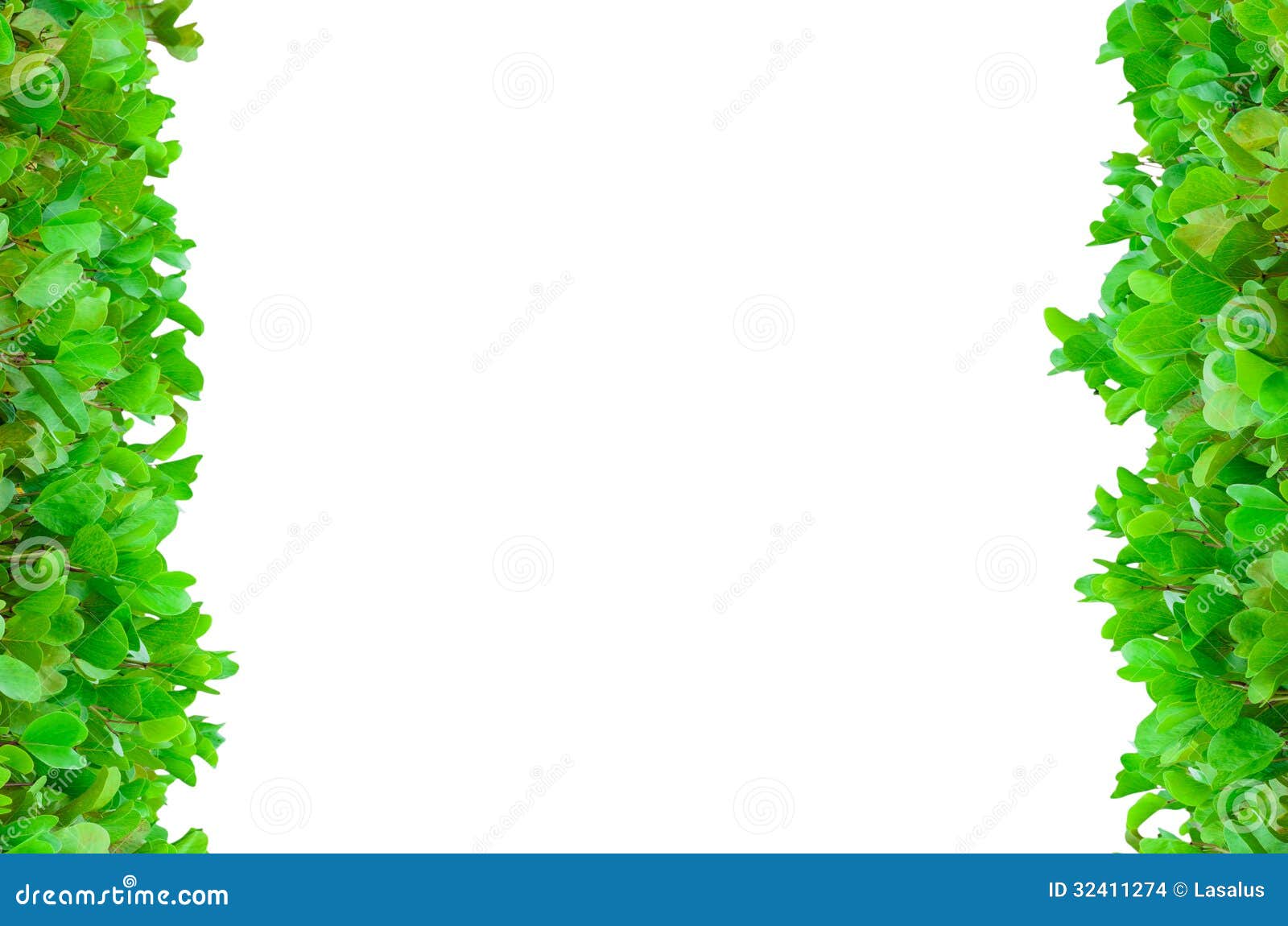 Vertical Flower Frame stock illustration. Illustration of blossom ...