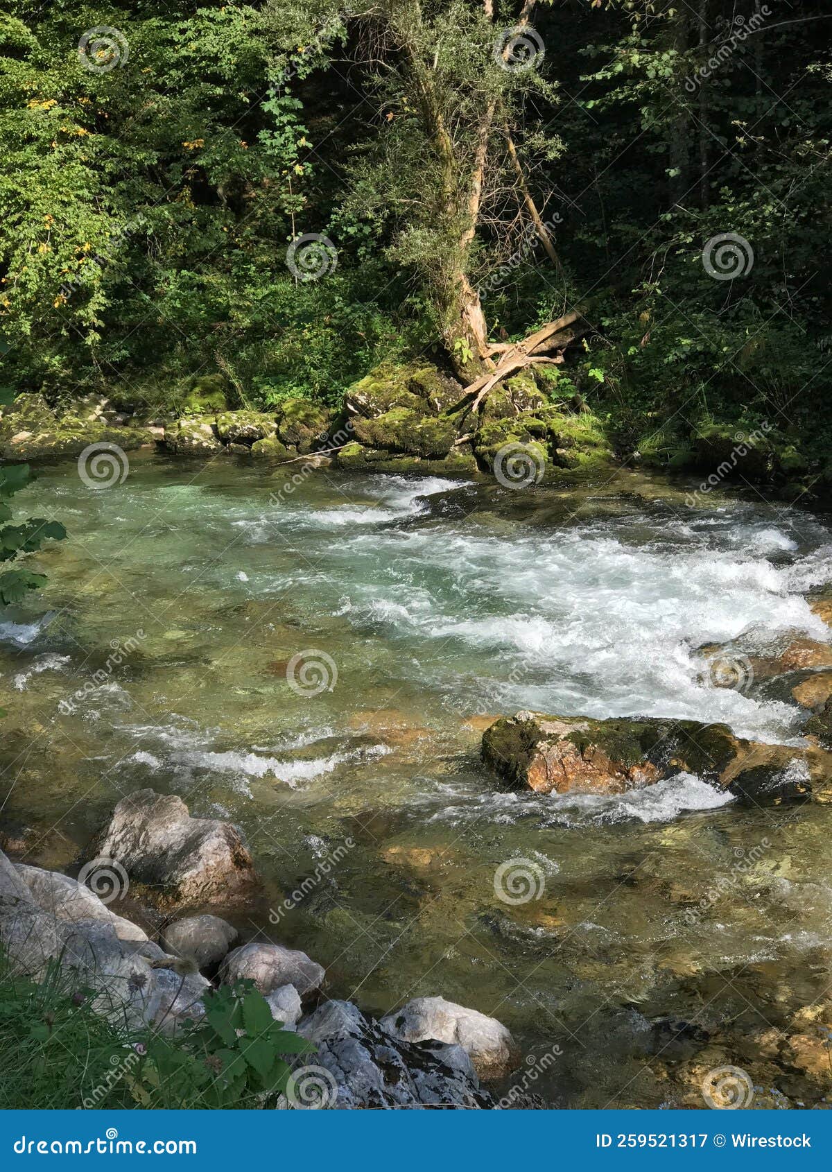 Vertical of a Flowing River with Rocks in the Nature Stock Image ...