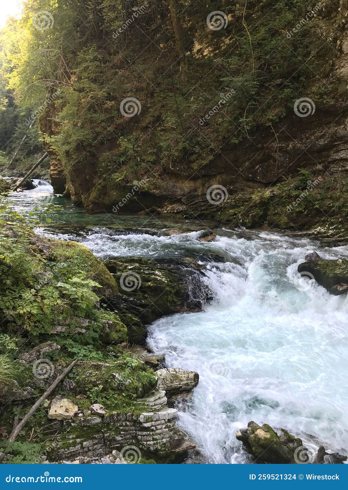 Vertical of a Flowing River with Rocks in the Nature Stock Photo ...