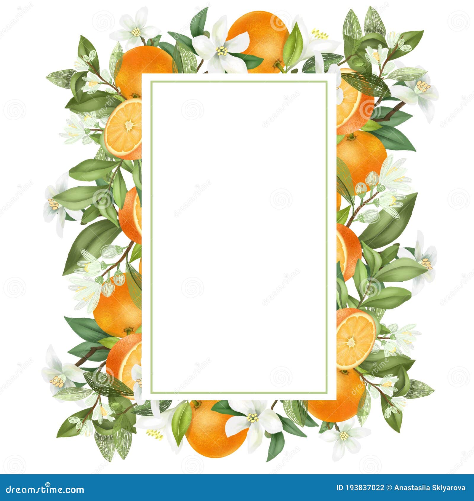Vertical Frame of Hand Drawn Blooming Orange Tree Branches, Flowers ...