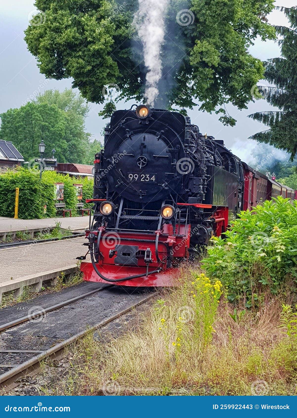 Vertical Front View of the Brockenbahn Steam Locomotive Editorial Stock ...
