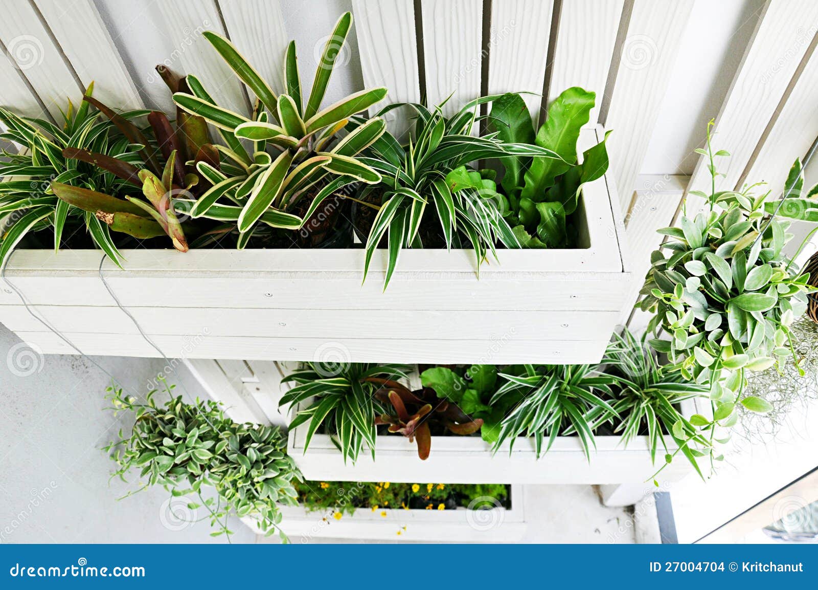 The Vertical Garden That Blends The Natural Beauty Of The Park. Royalty ...