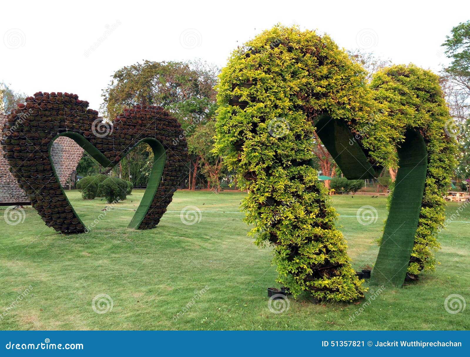 Vertical Garden in Heart Shape with White Space on Top Stock Image ...