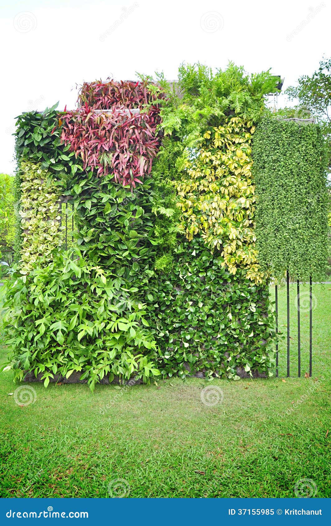 The Vertical Garden That Blends The Natural Beauty Of The Park. Royalty ...