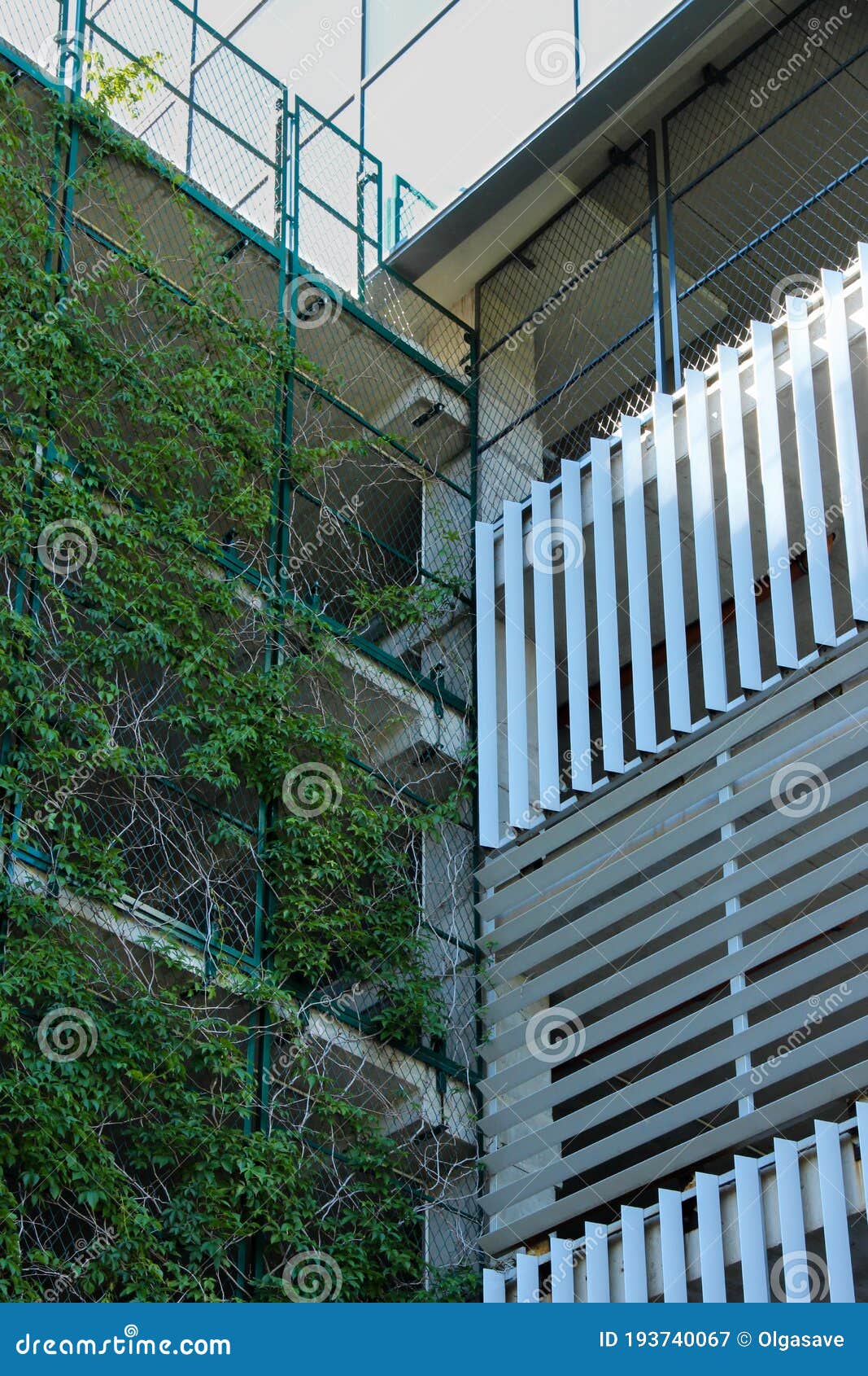 Vertical Garden at the Parking Lot. Green Architecture Example Stock ...