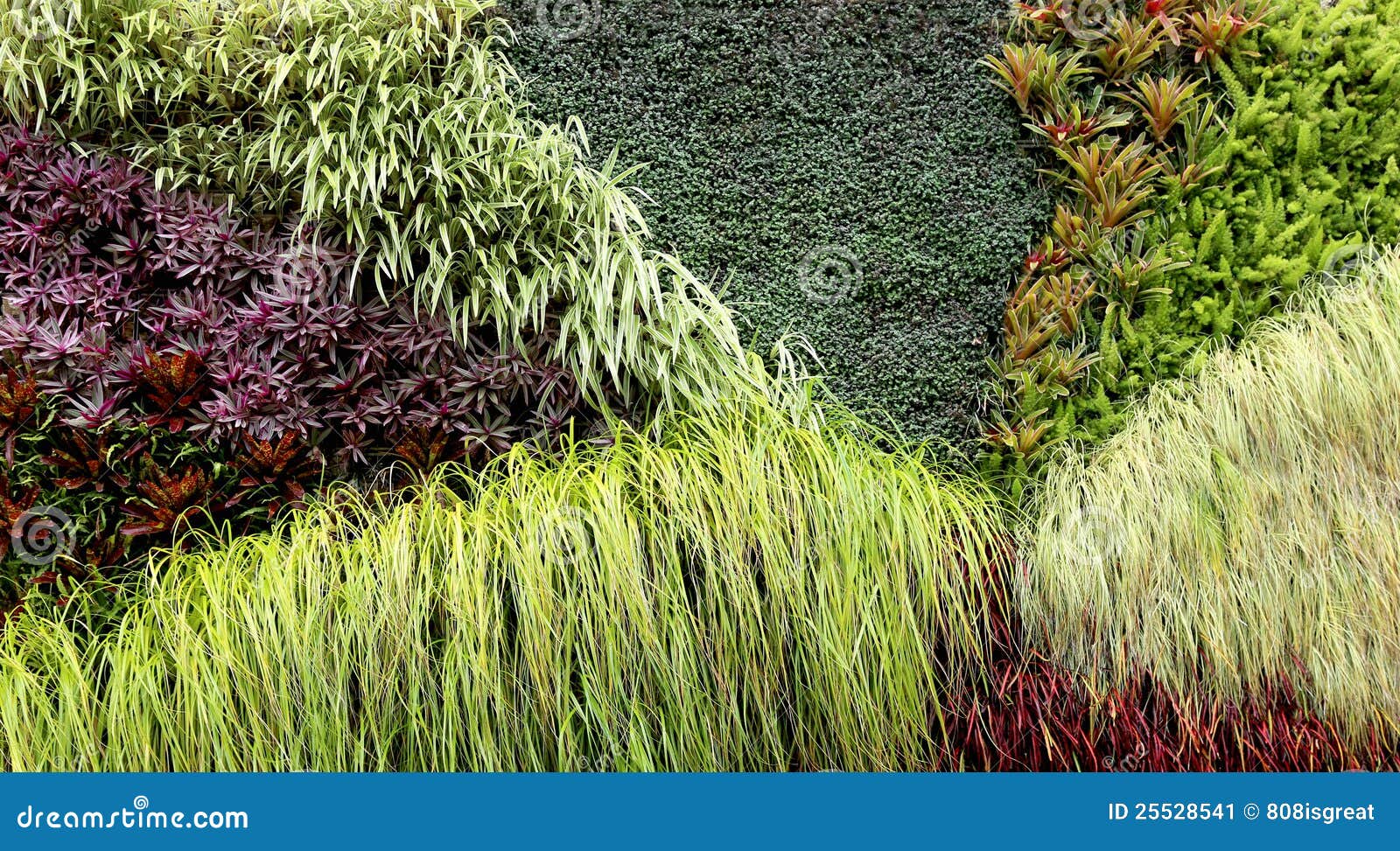 The Vertical Garden That Blends The Natural Beauty Of The Park. Royalty ...