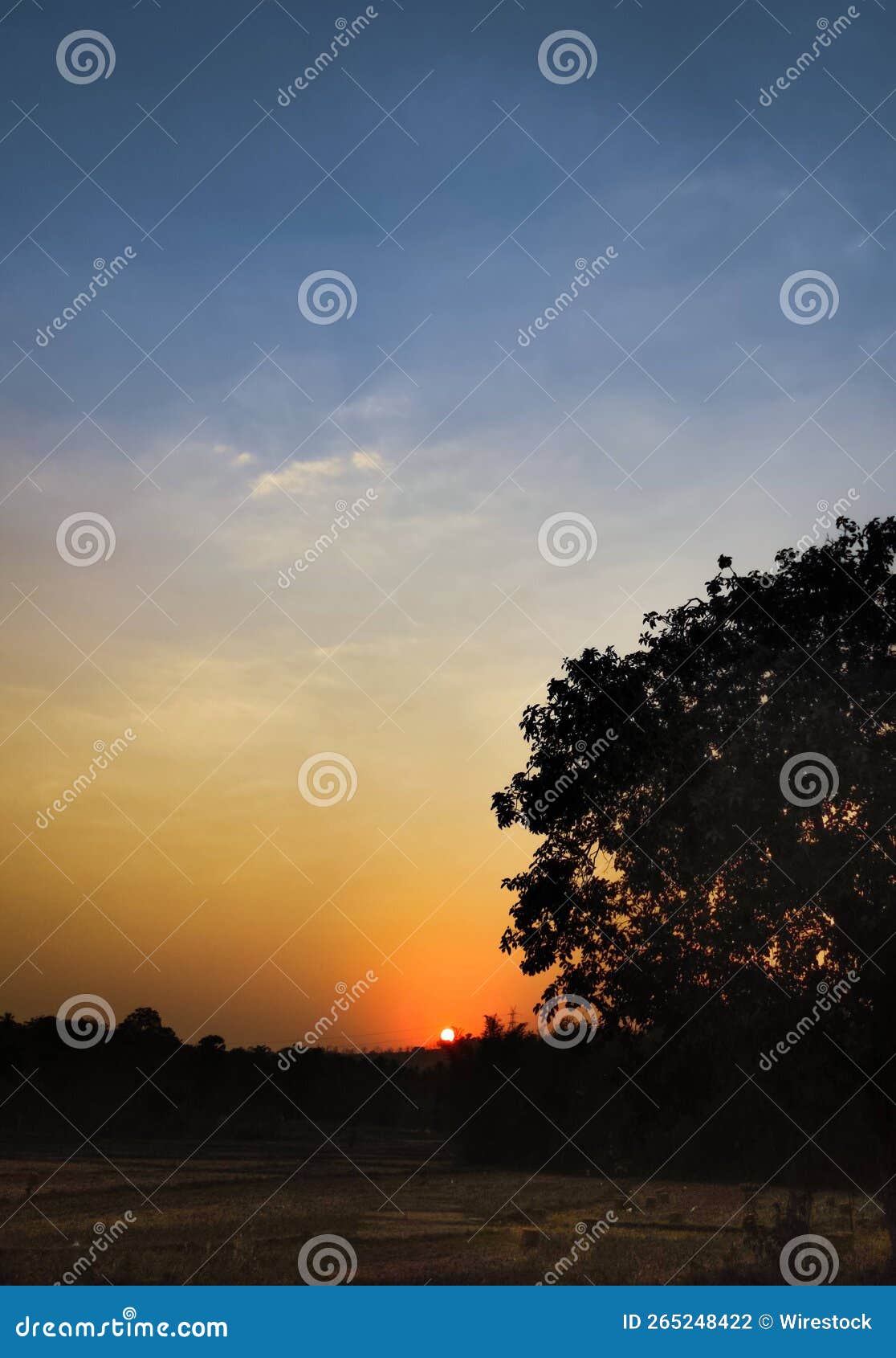 Vertical of the Glowing Distant Sun Going Behind a Hill at Sunset ...