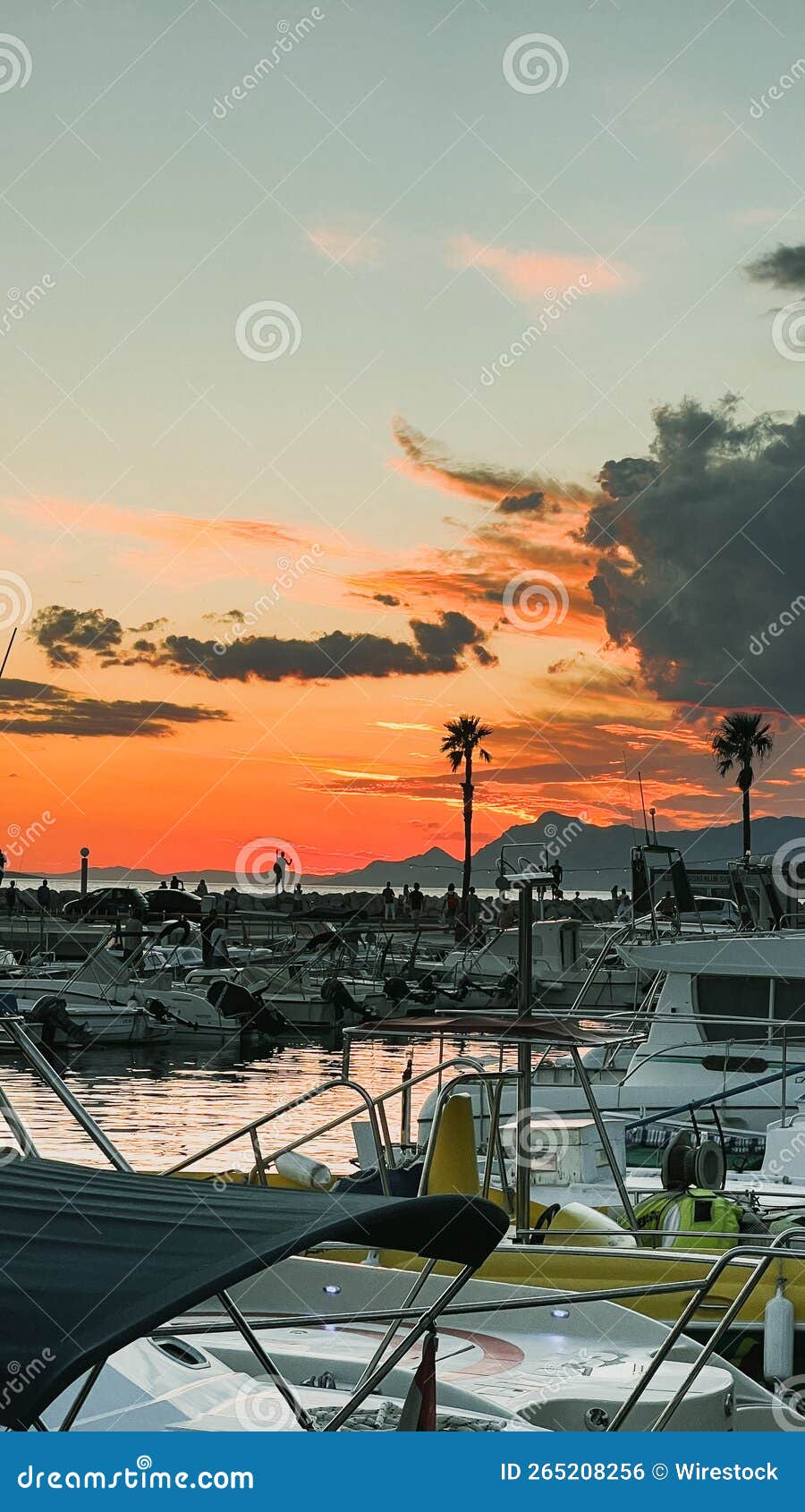 Vertical of the Golden, Sunset Captured Over a Seaport Stock Photo ...