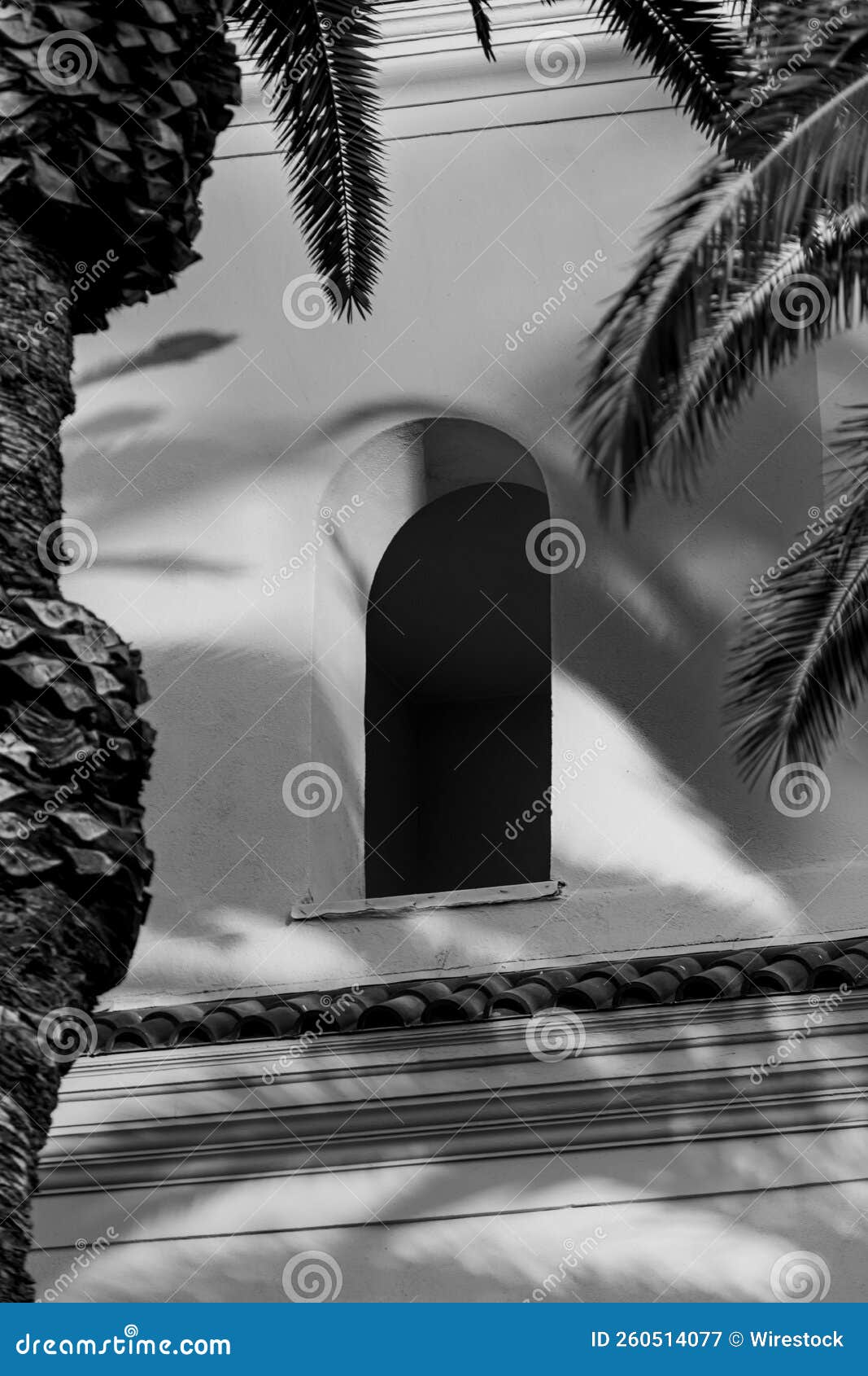 Vertical Grayscale of an Arched Window of a Building Stock Image ...