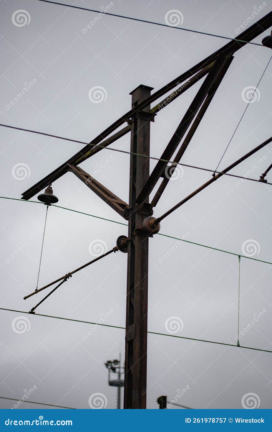 Vertical Grayscale of an Electrical Insulator on an Electricity Pole ...