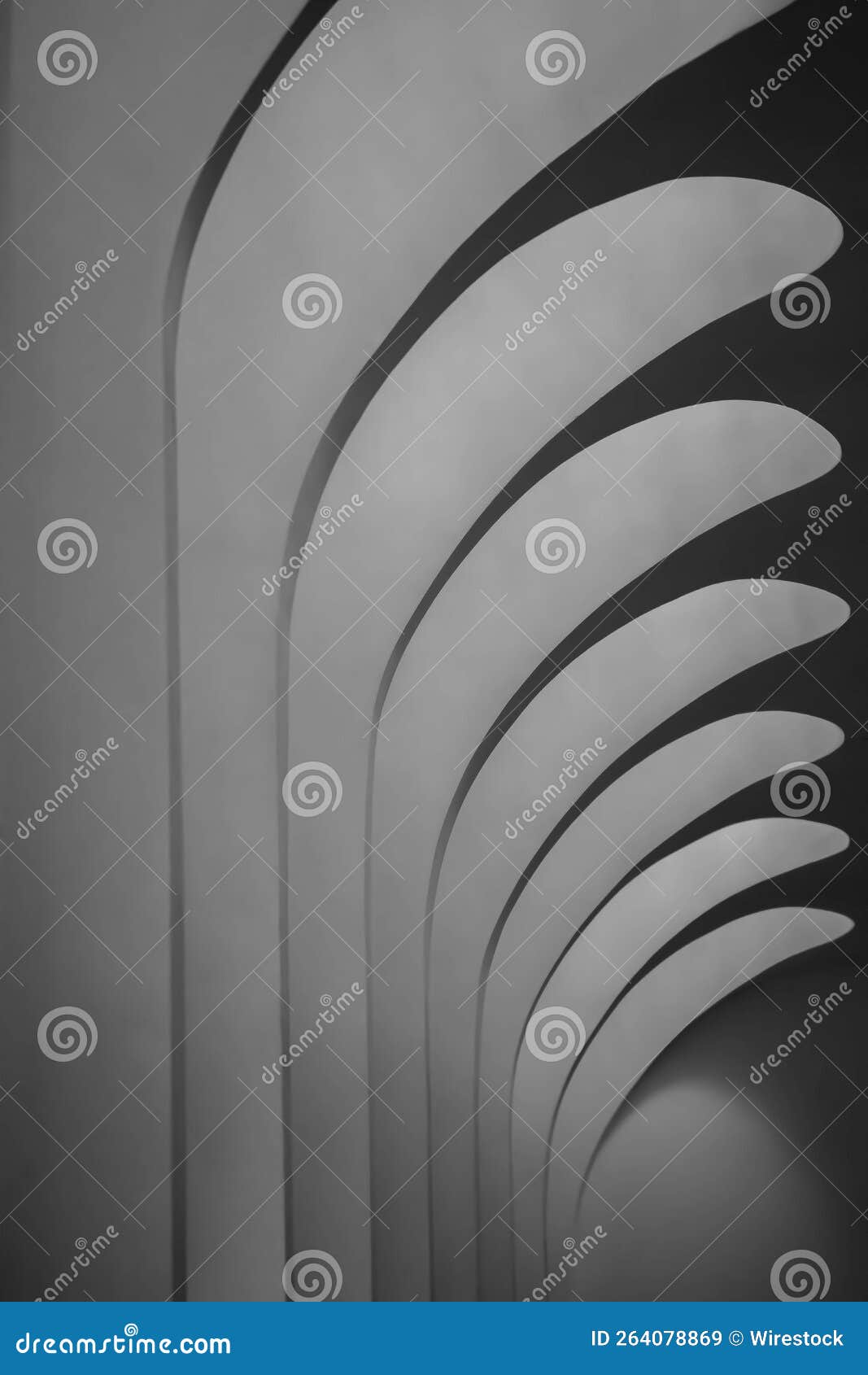 Vertical Grayscale Illustration of a Curved Symmetrical Structure ...