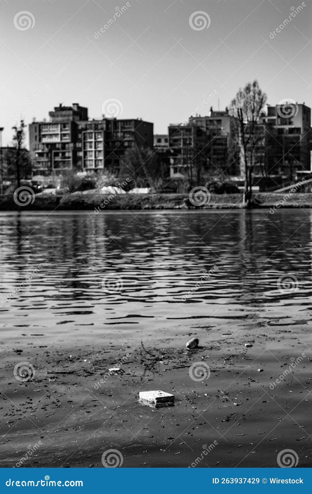 Vertical Grayscale of a Polluted River in Prague with Buildings in the ...