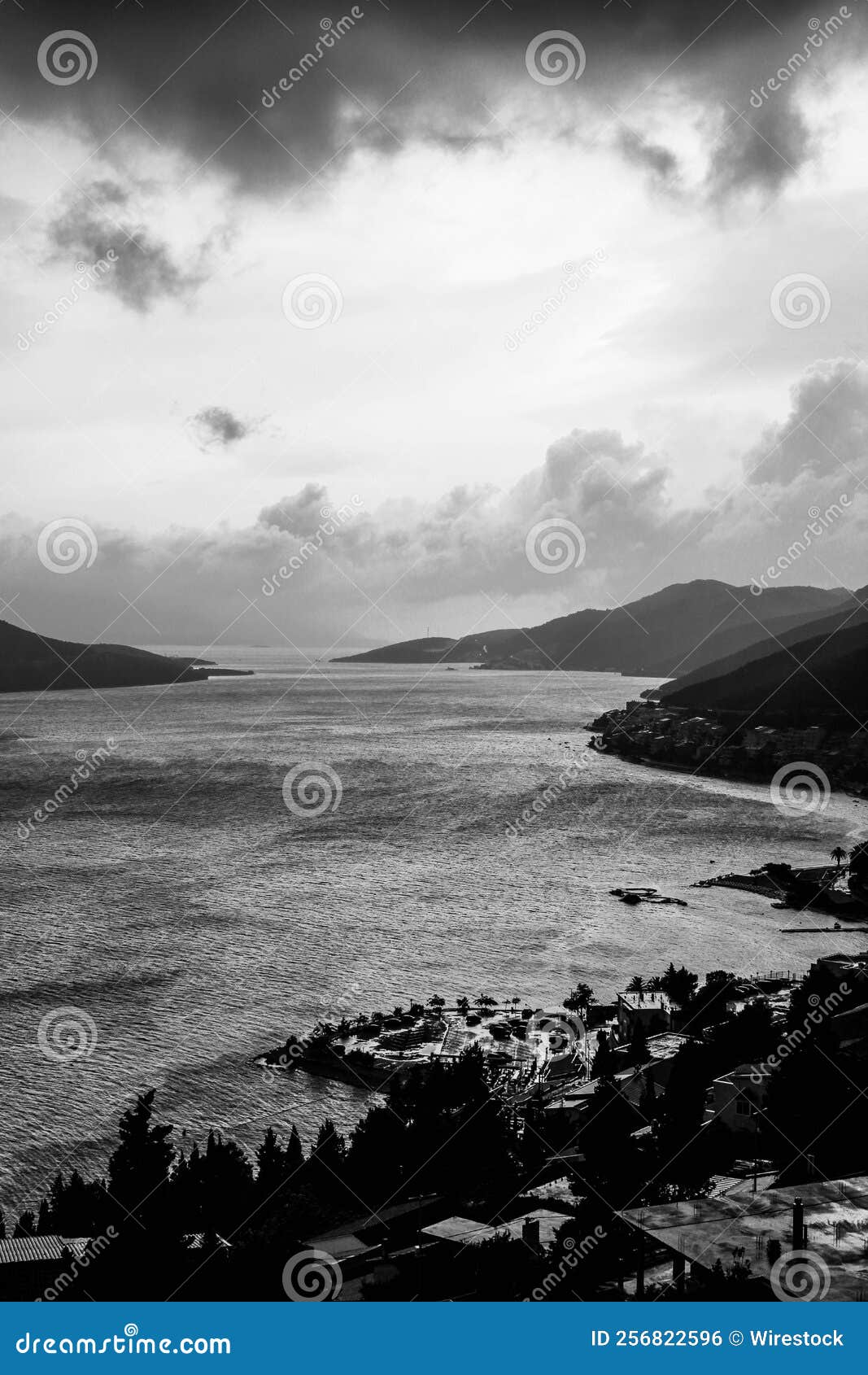 Vertical Grayscale of Sea Coasts with Trees and Buildings Under the ...