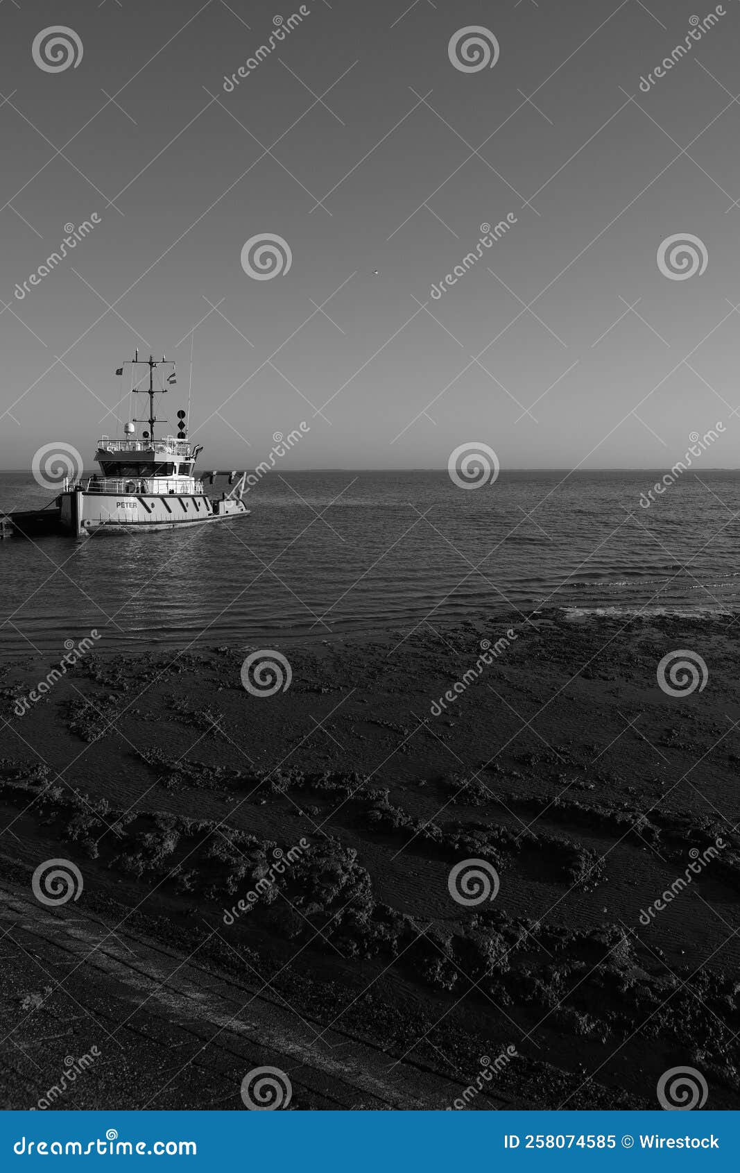 Vertical Grayscale of a Ship at Sandy Sea Beach with Monochrome Waves ...