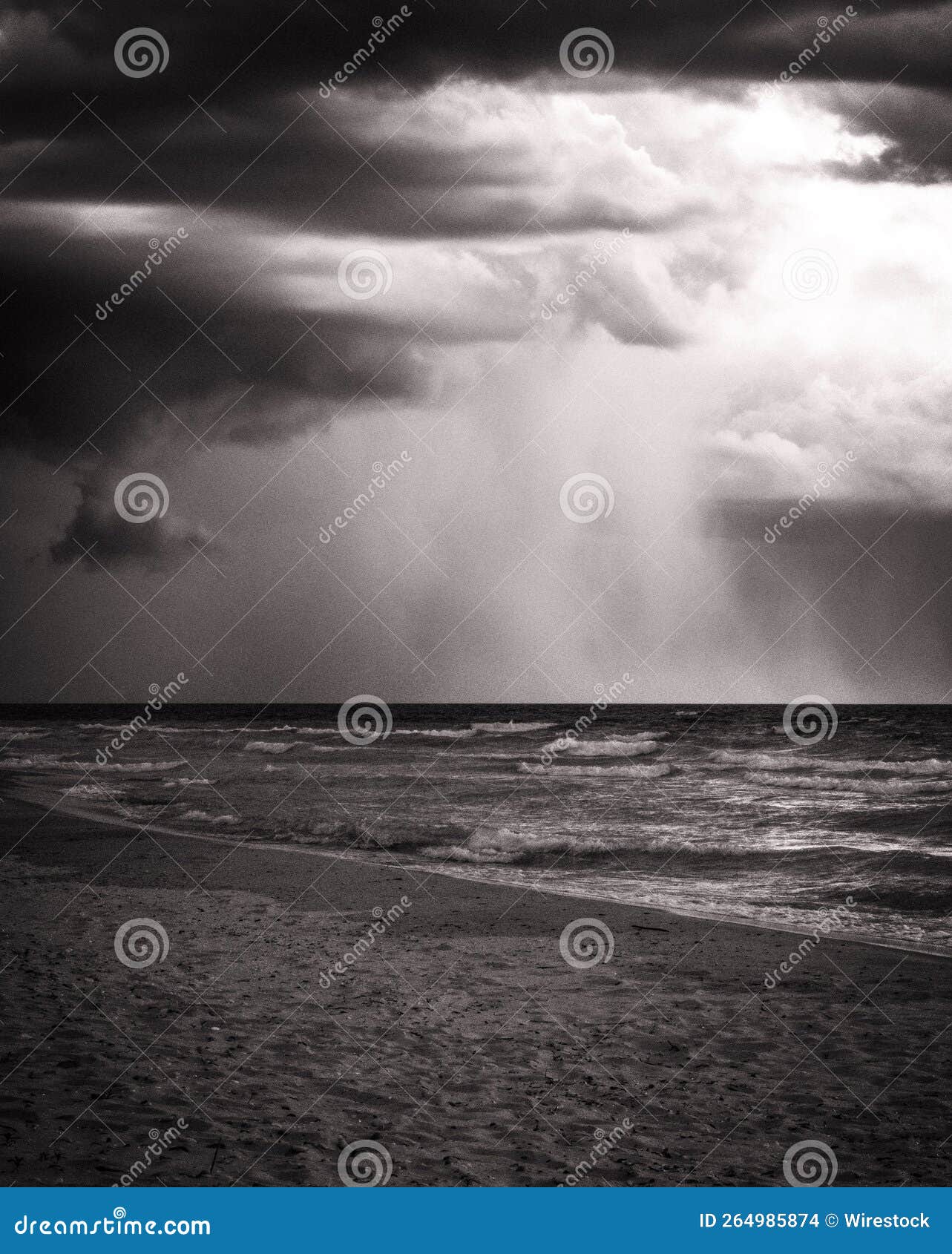 Vertical Grayscale Shot of a Beach Shore Stock Photo - Image of water ...