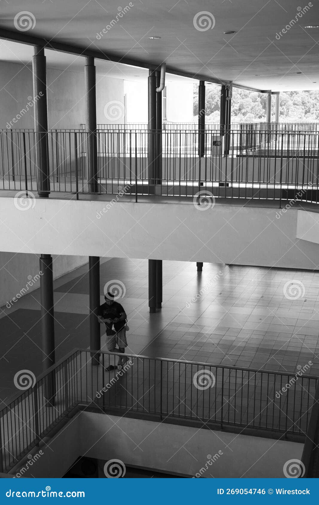 Vertical Grayscale Shot of a Building Interior with Different Floors ...
