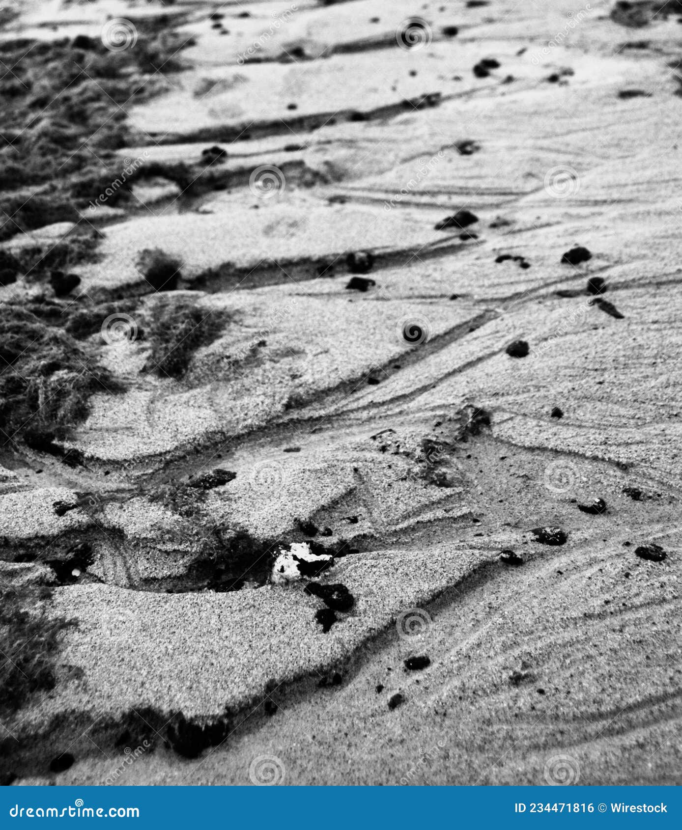 Vertical Grayscale Shot of a Bumpy Field with Bushes Stock Photo ...