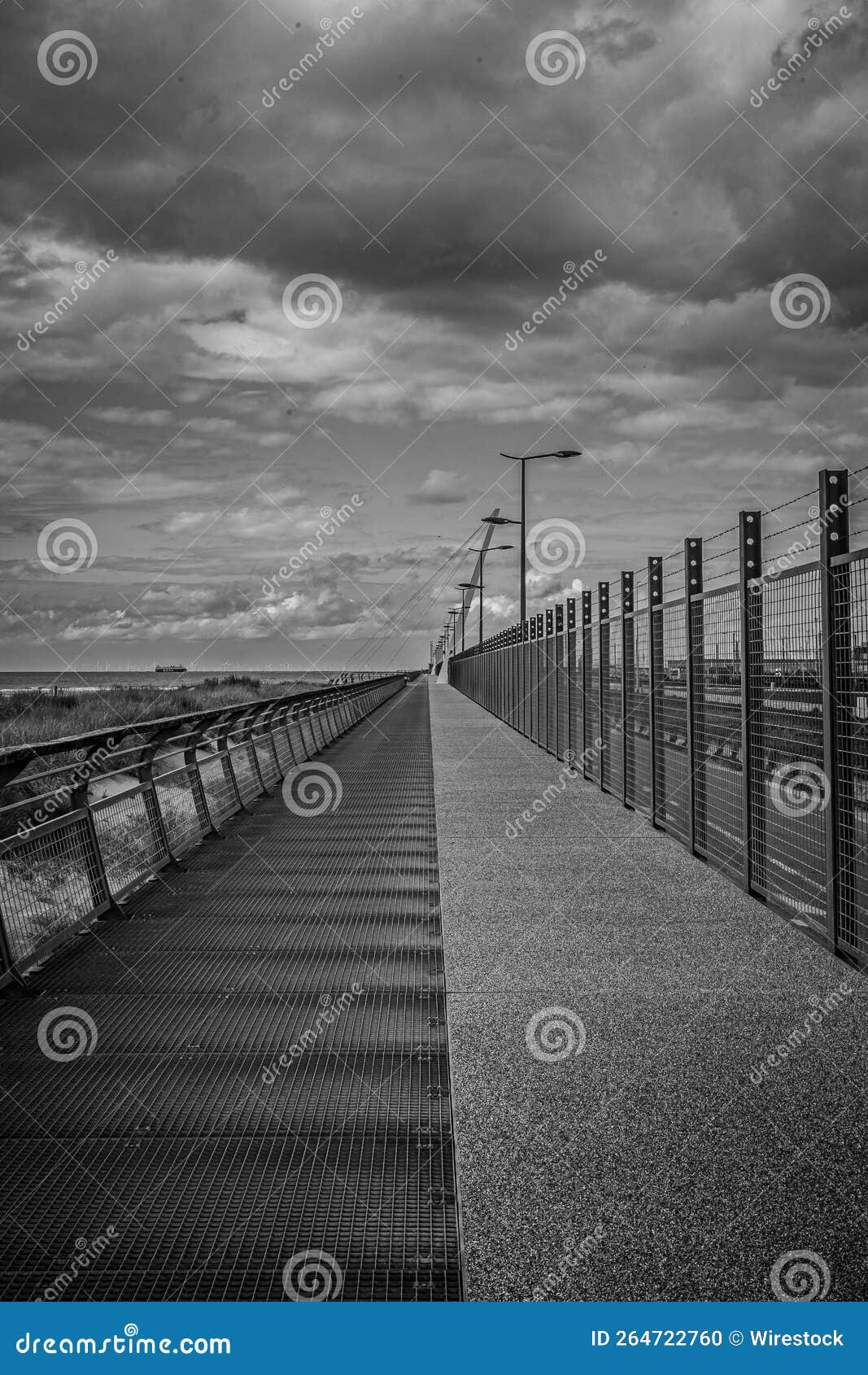 Vertical Grayscale Shot of a Caged Bridge Under a Cloudy Sky. Stock ...
