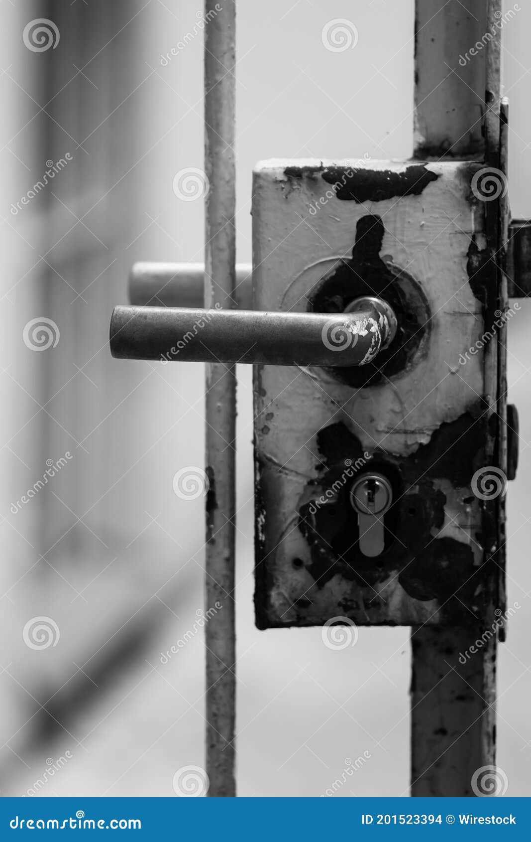 Vertical Grayscale Shot of a Gate Door Lock Stock Photo - Image of ...
