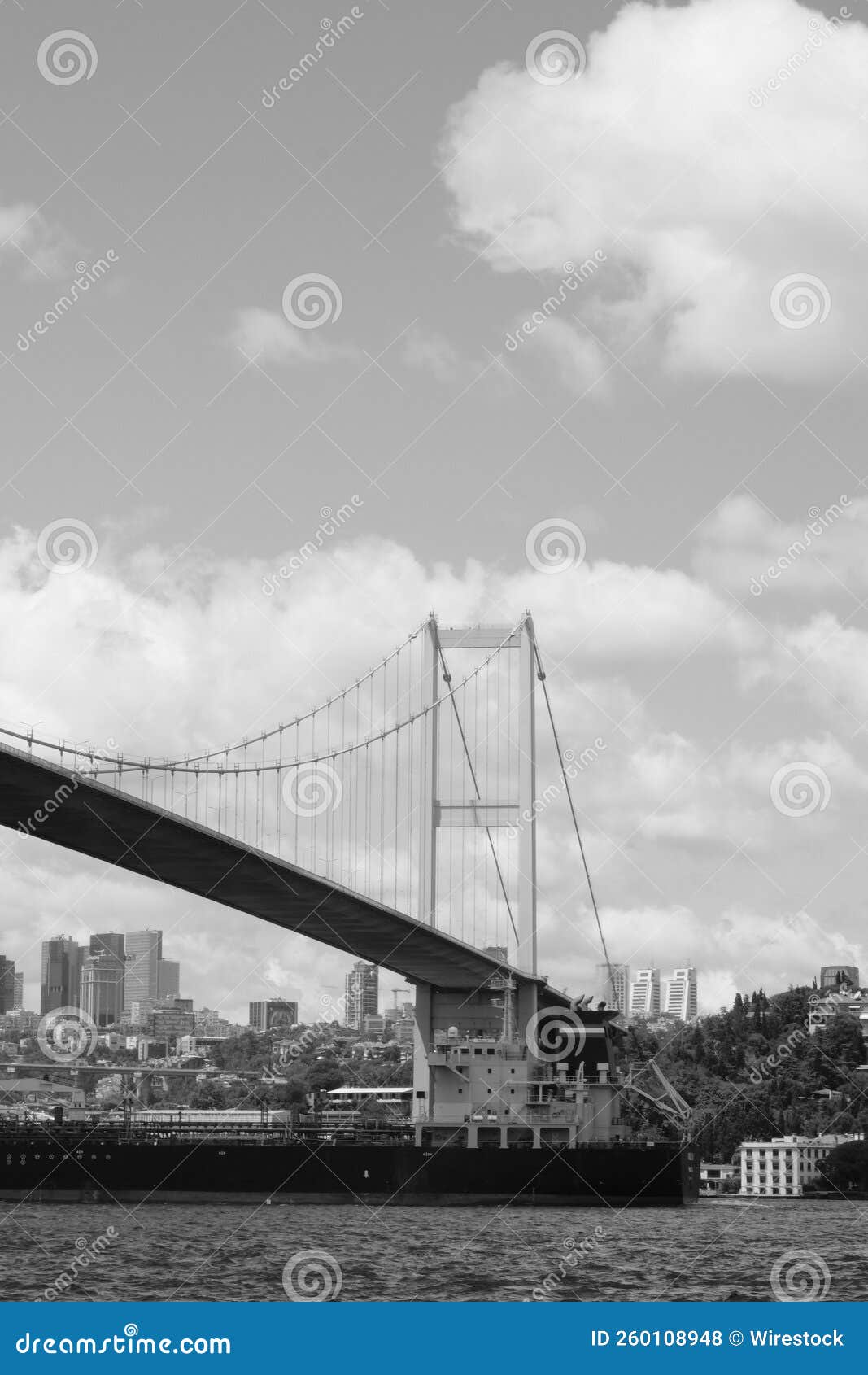 Vertical Grayscale Shot of the Historic Bosphorus Bridge in Istanbul ...