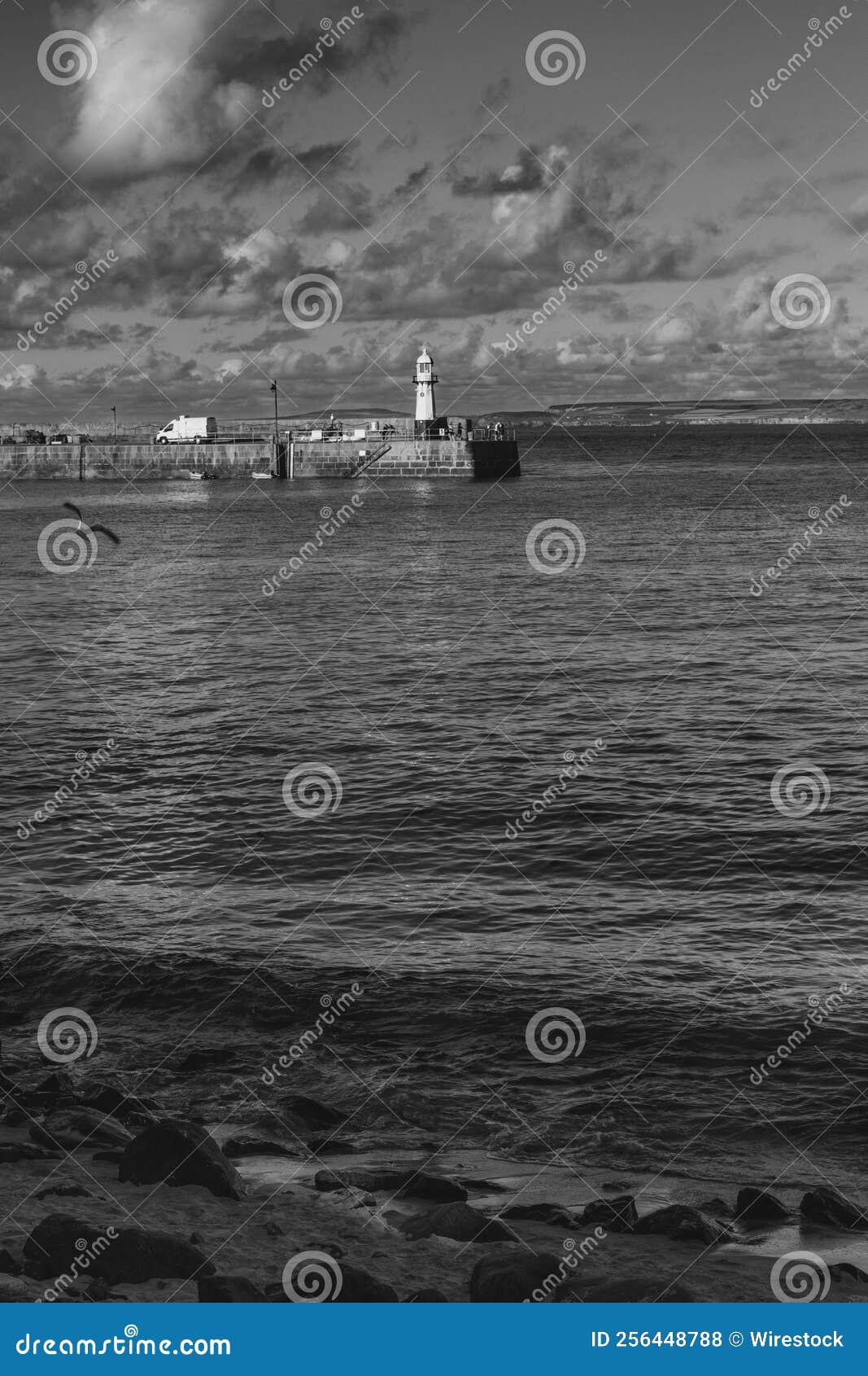 Vertical Grayscale Shot of a Lighthouse at the Shore in the Distance ...