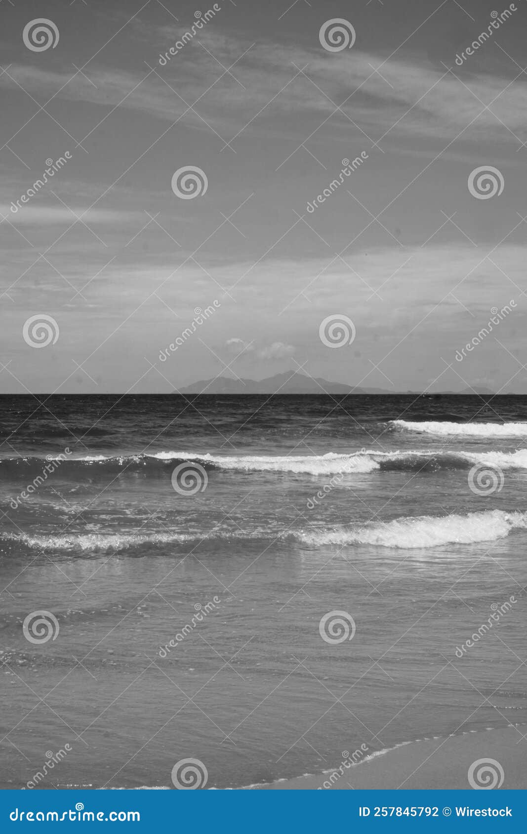 Vertical Grayscale Shot of Ocean Waves Crashing on the Shore Stock ...