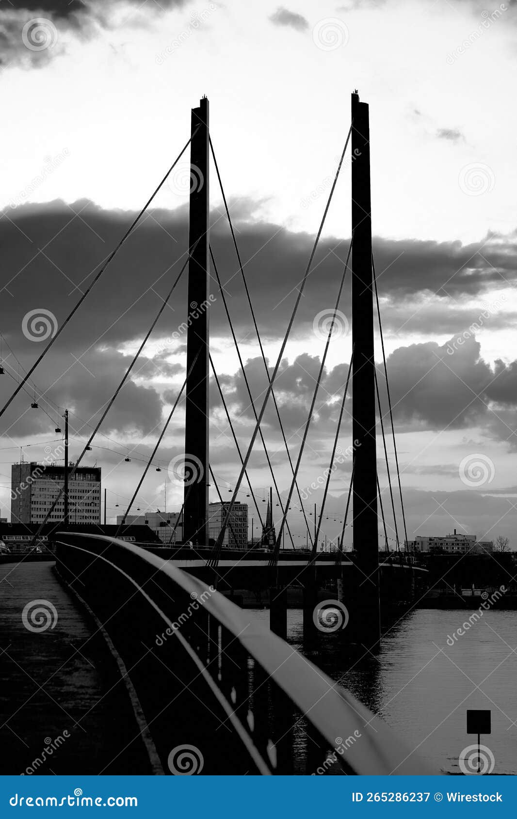 Vertical Grayscale Shot of Pont Sur Le Rhin Cable-stayed Bridge in ...