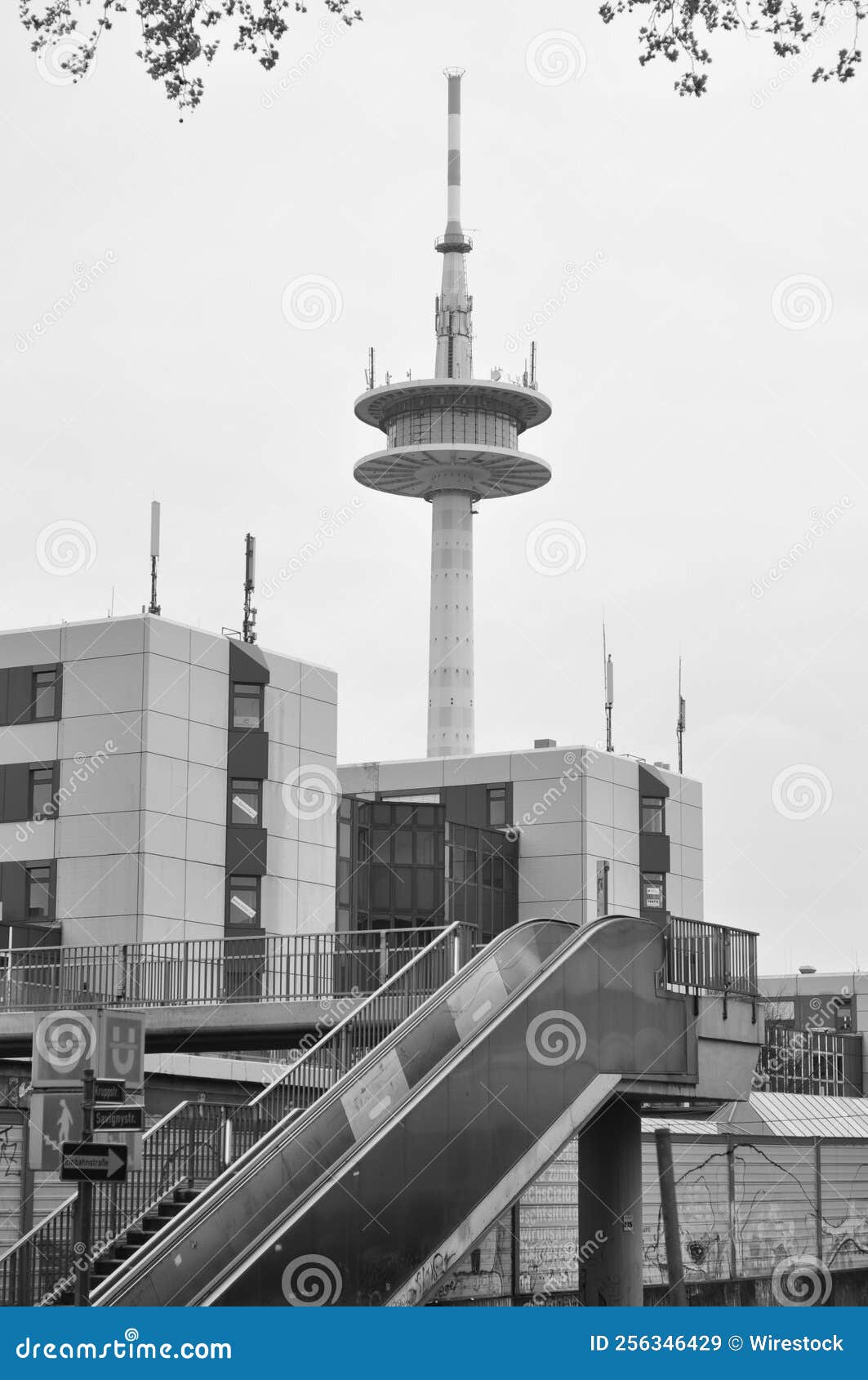 Vertical Grayscale Shot of a Television Tower and a Motorway Bridge on ... Vertical Grayscale Shot of a Television Tower and a Motorway Bridge on ...
