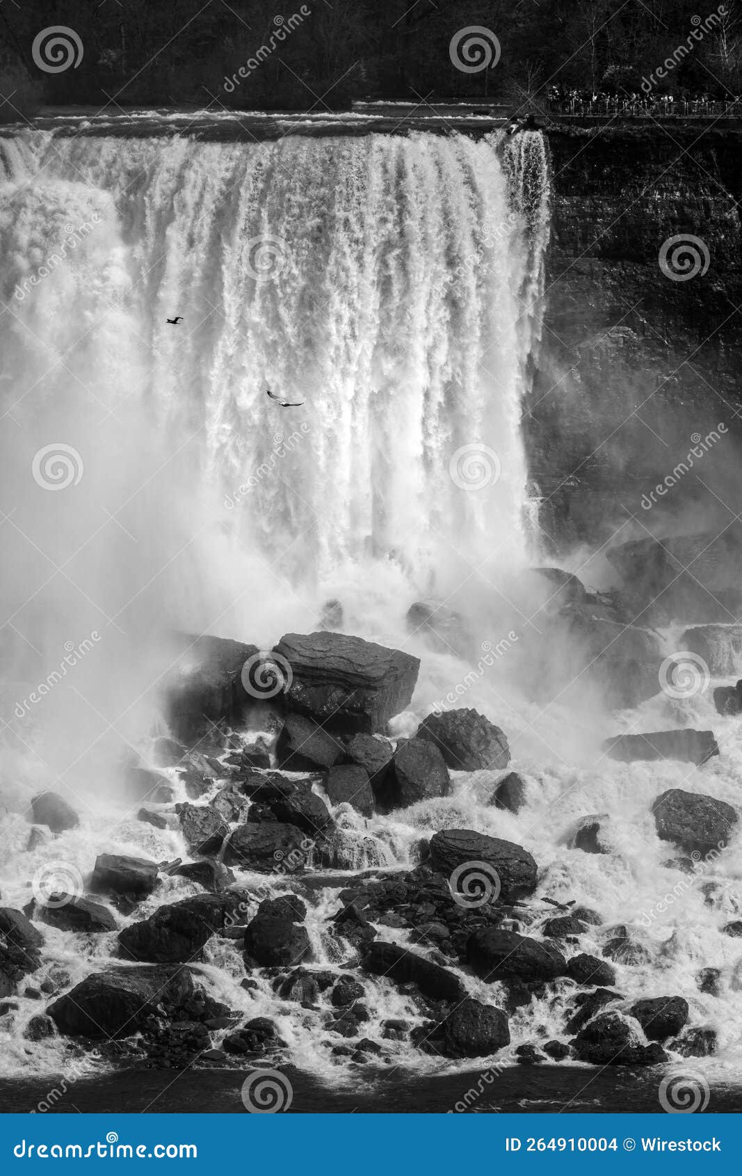Vertical Grayscale Shot of White Foamy Waterfall Flowing Down the Rocky ...