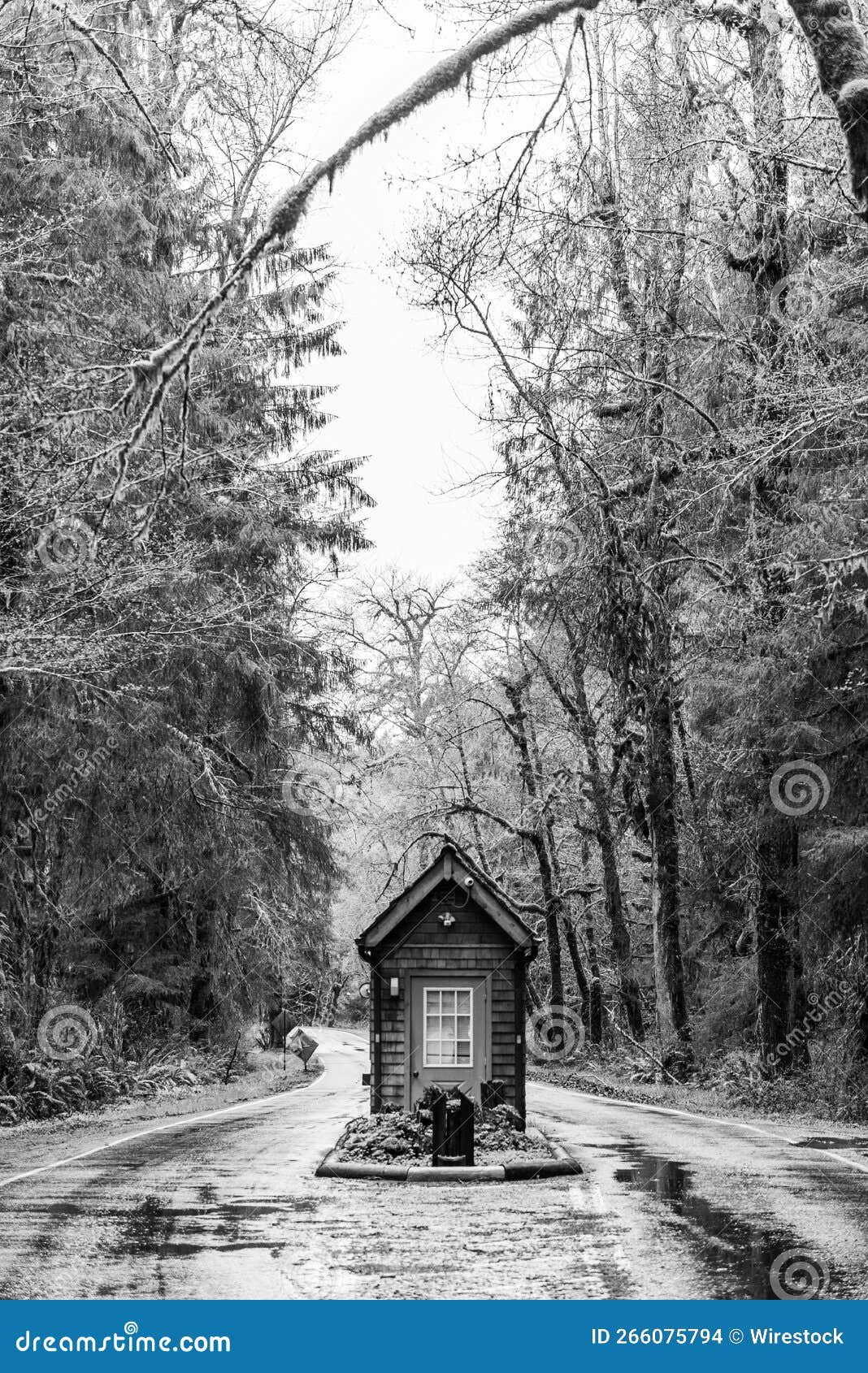 Vertical Grayscale of a Small Building in the Middle of the Road ...