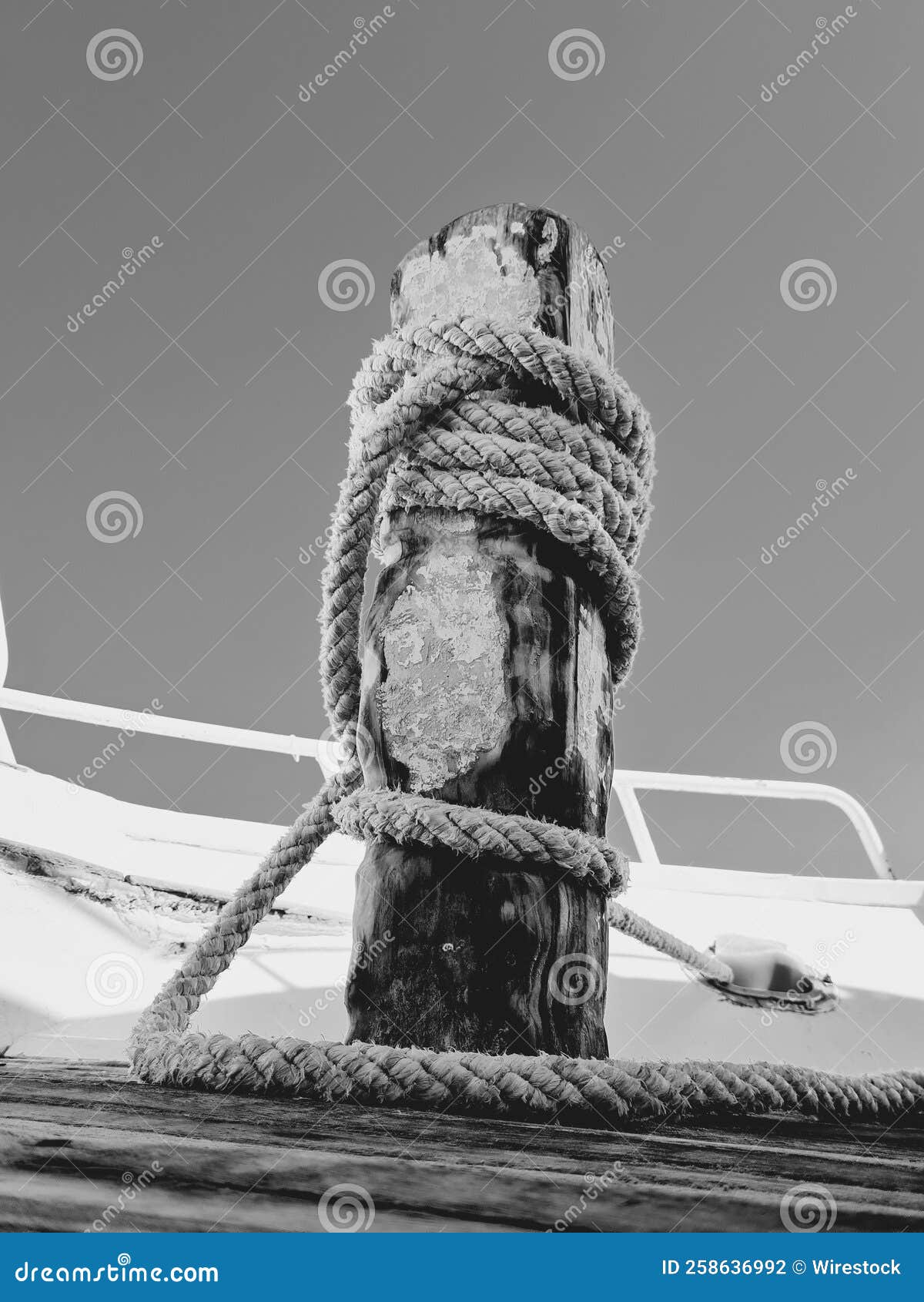 Vertical Grayscale of a Wooden Pole with a Rope Stock Photo - Image of ...