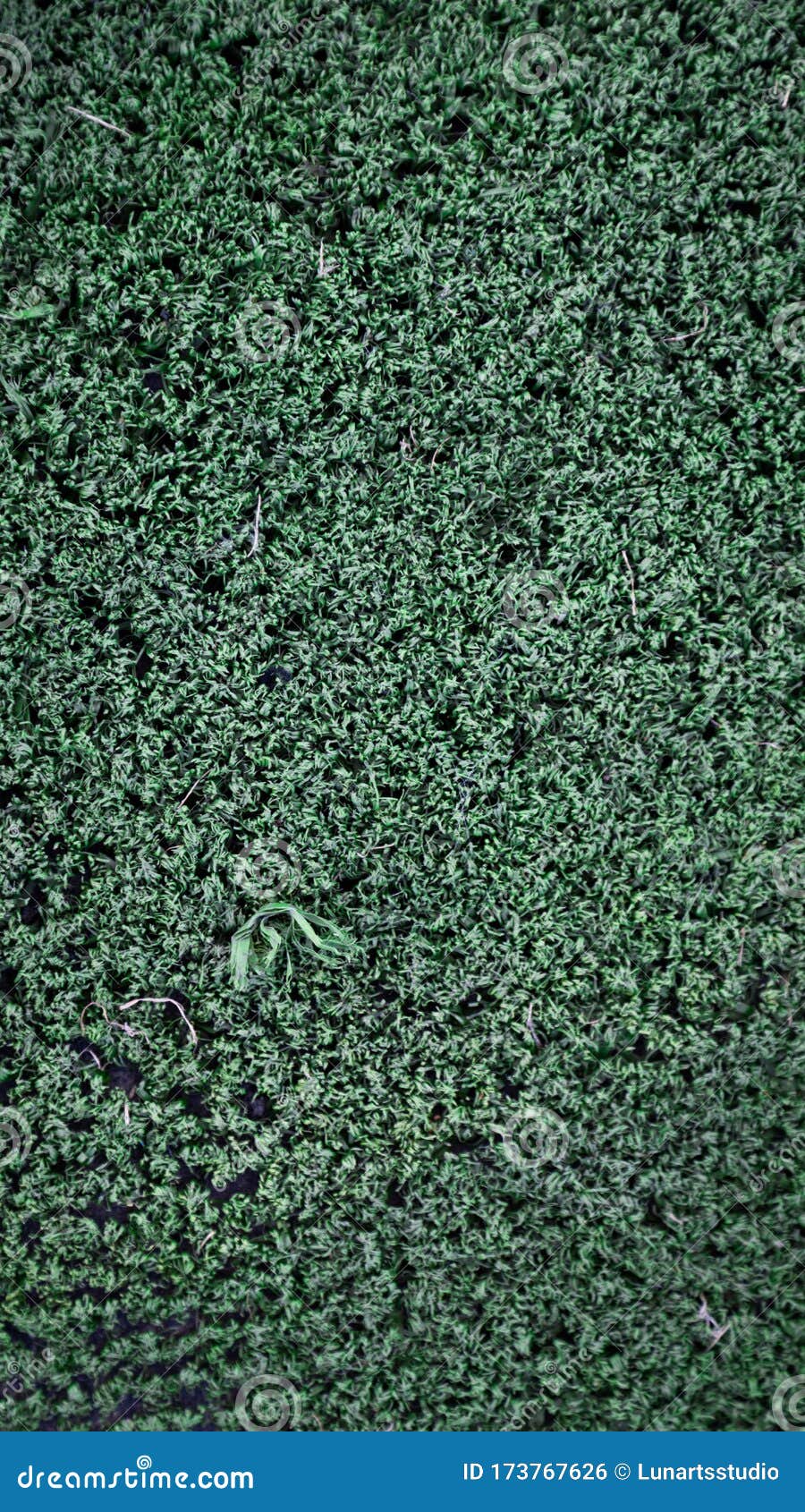 Vertical Green Grass, Artificial Green Grass Background Texture Stock ...