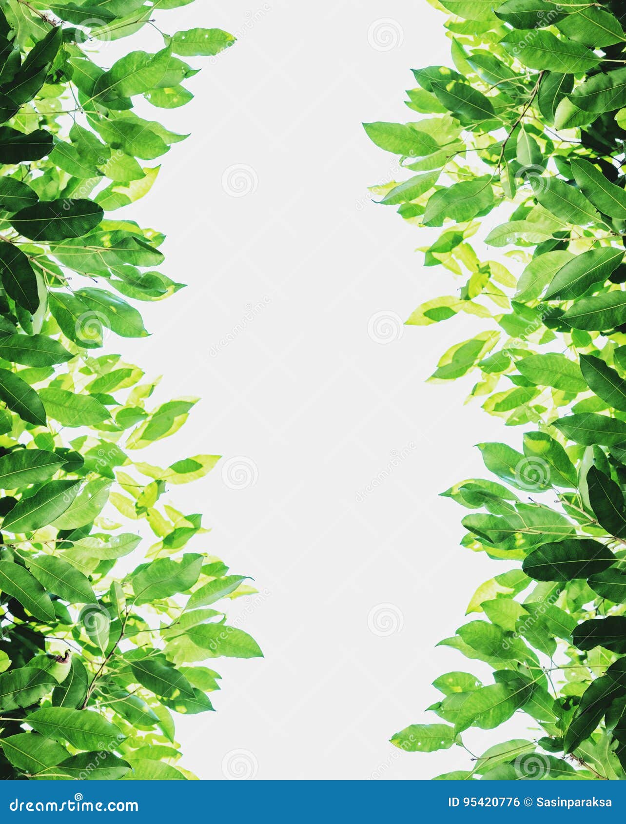 Vertical Green Copper Wall Texture Background Royalty-Free Stock Photo ...