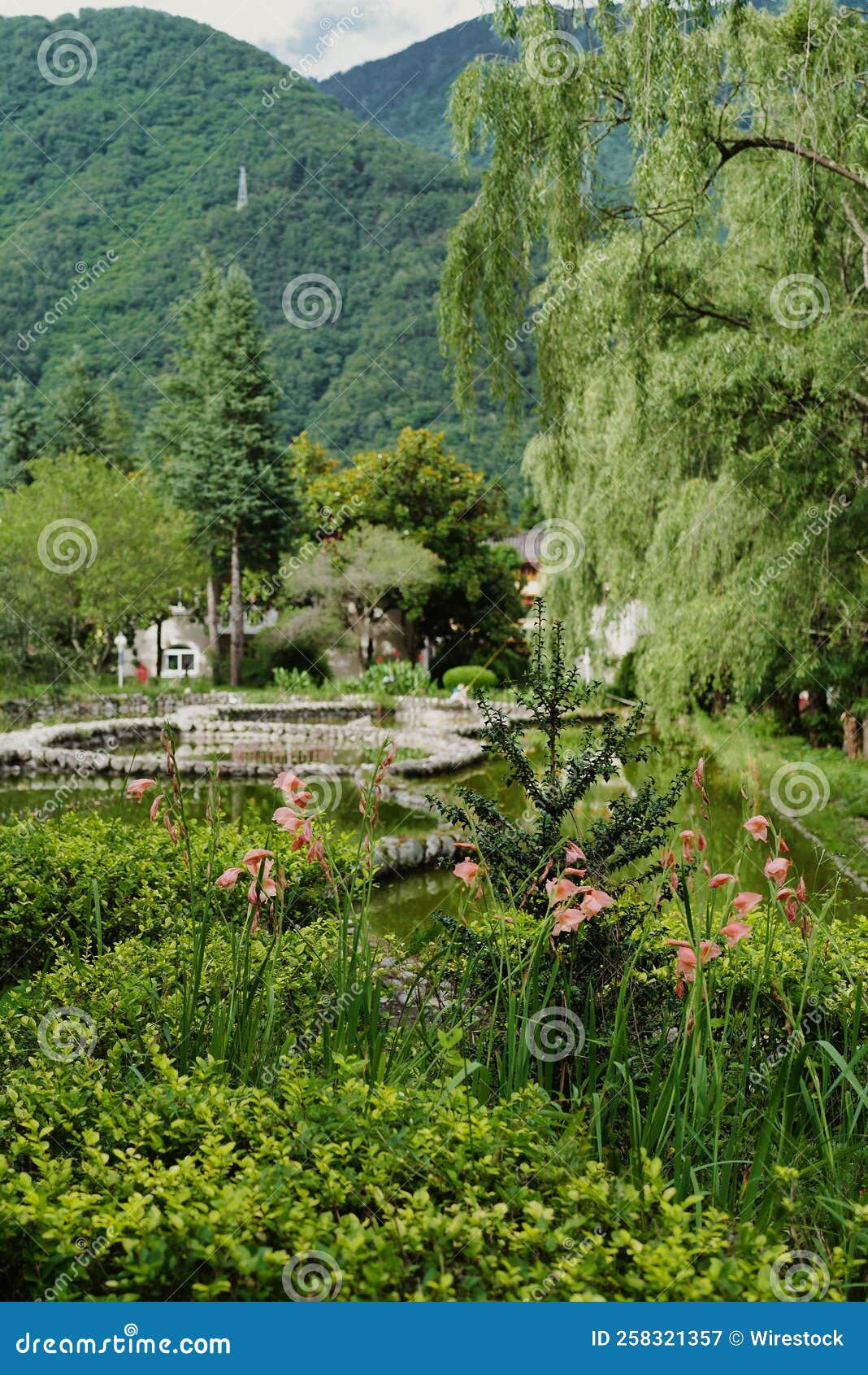 Vertical of a Green Park with Mountains in the Background. Stock Image ...