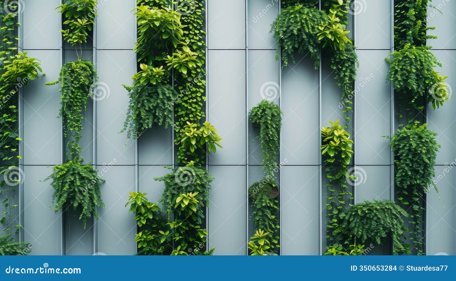 Vertical Green Wall with Lush Plants in Modern Architecture Stock Photo ...
