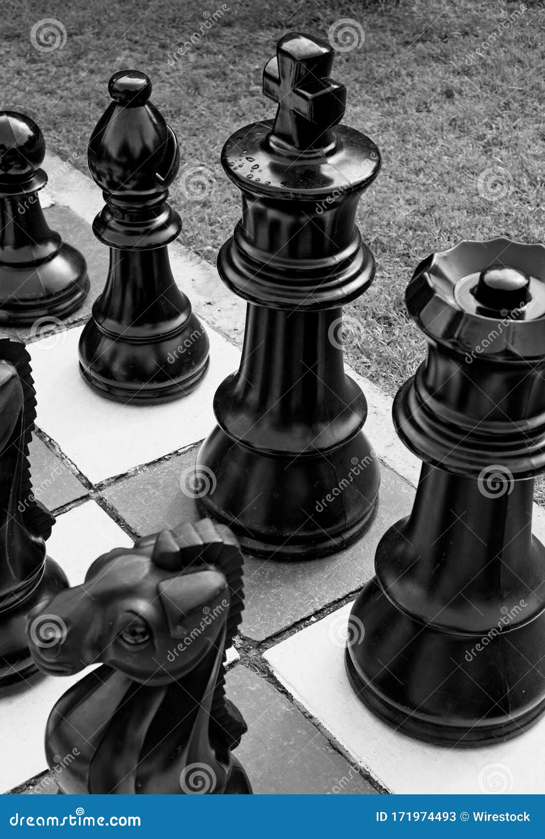 Vertical Grey Scale Shot of Big Chess Pieces on a Chess Board on the ...