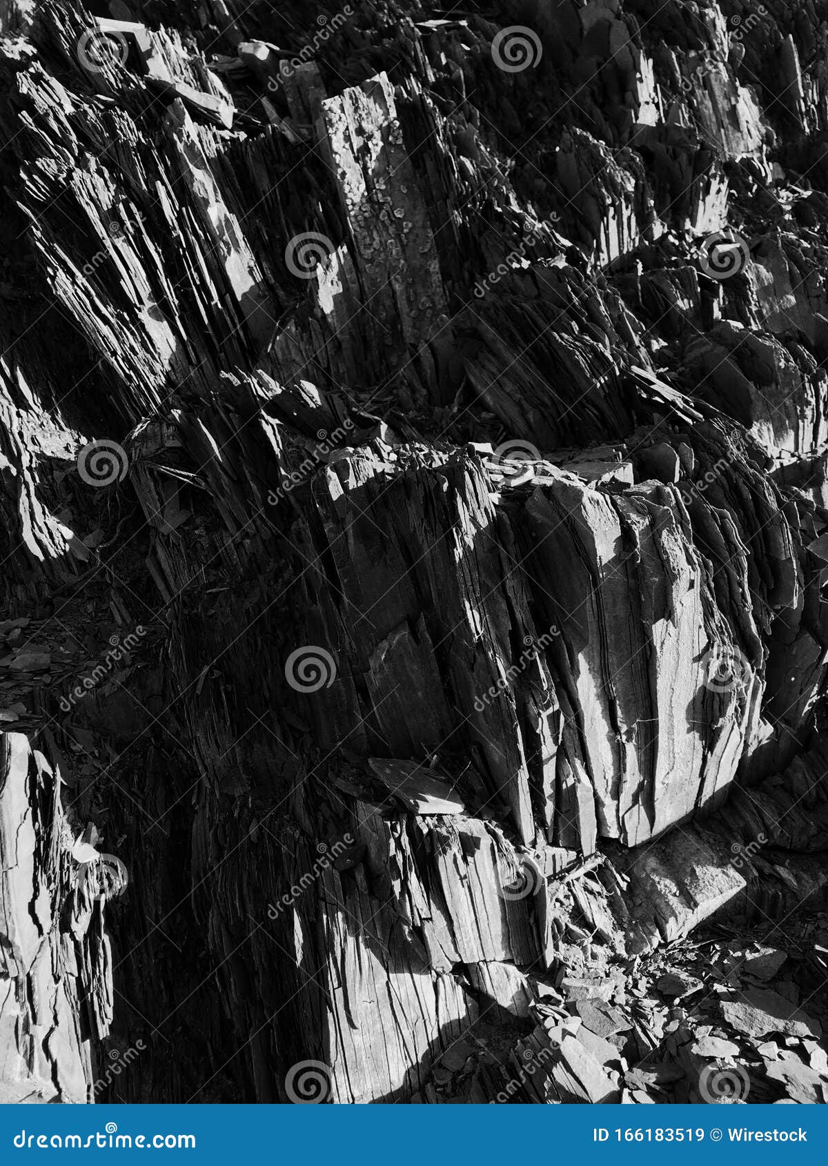 Vertical Grey Scale Shot of the Woods and Rocks Stock Image - Image of ...
