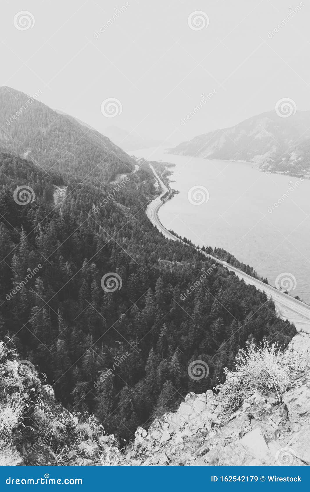 Vertical Greyscale High Angle Shot of Forest Mountains at the Shore of ...