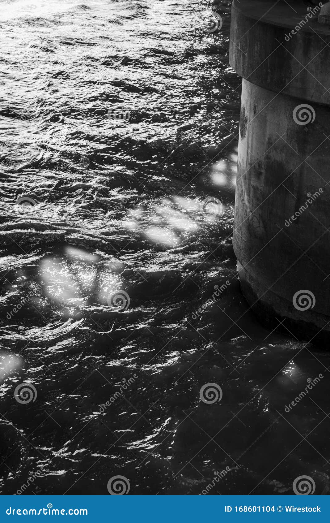 Vertical Greyscale Shot of Bright Sun Rays Falling on a Water Surface ...