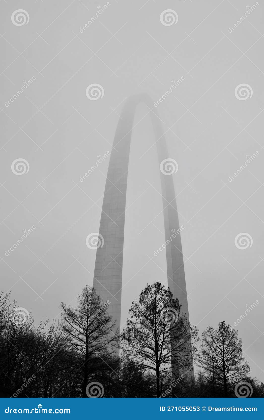 Vertical Greyscale Shot of the Famous Gateway Arch Editorial Stock ...