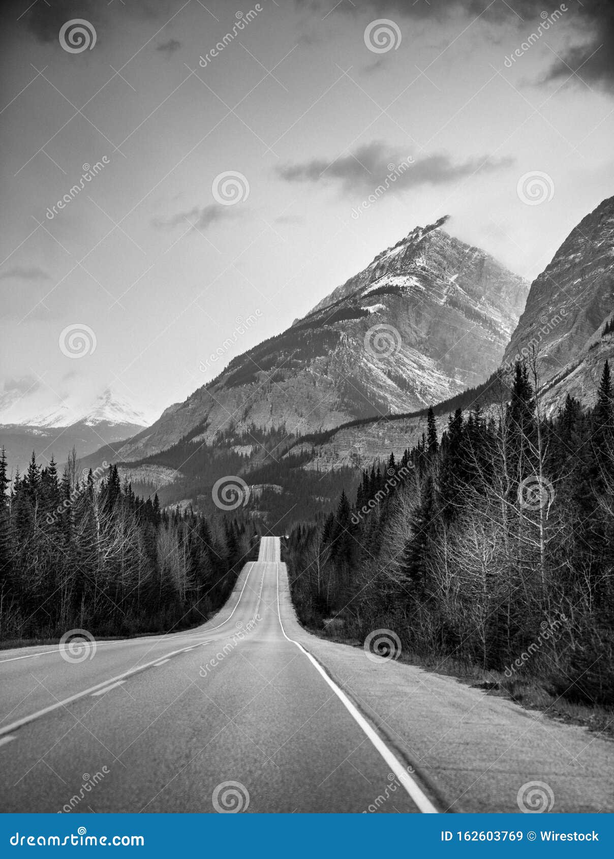 Greyscale Shot Of The Beautiful Windmill Captured In Meijo Park In ...