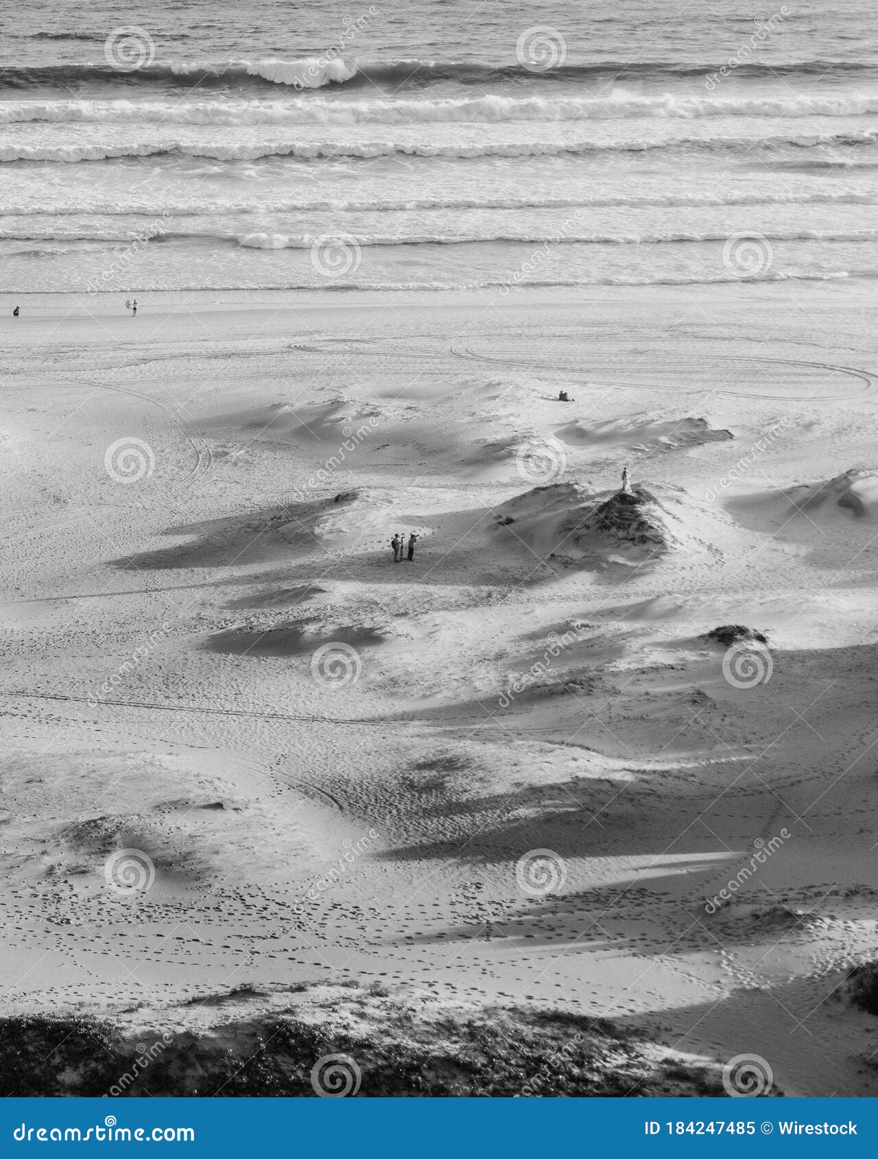 Vertical Greyscale Shot of the Sandy Beach at Sunset Stock Image ...