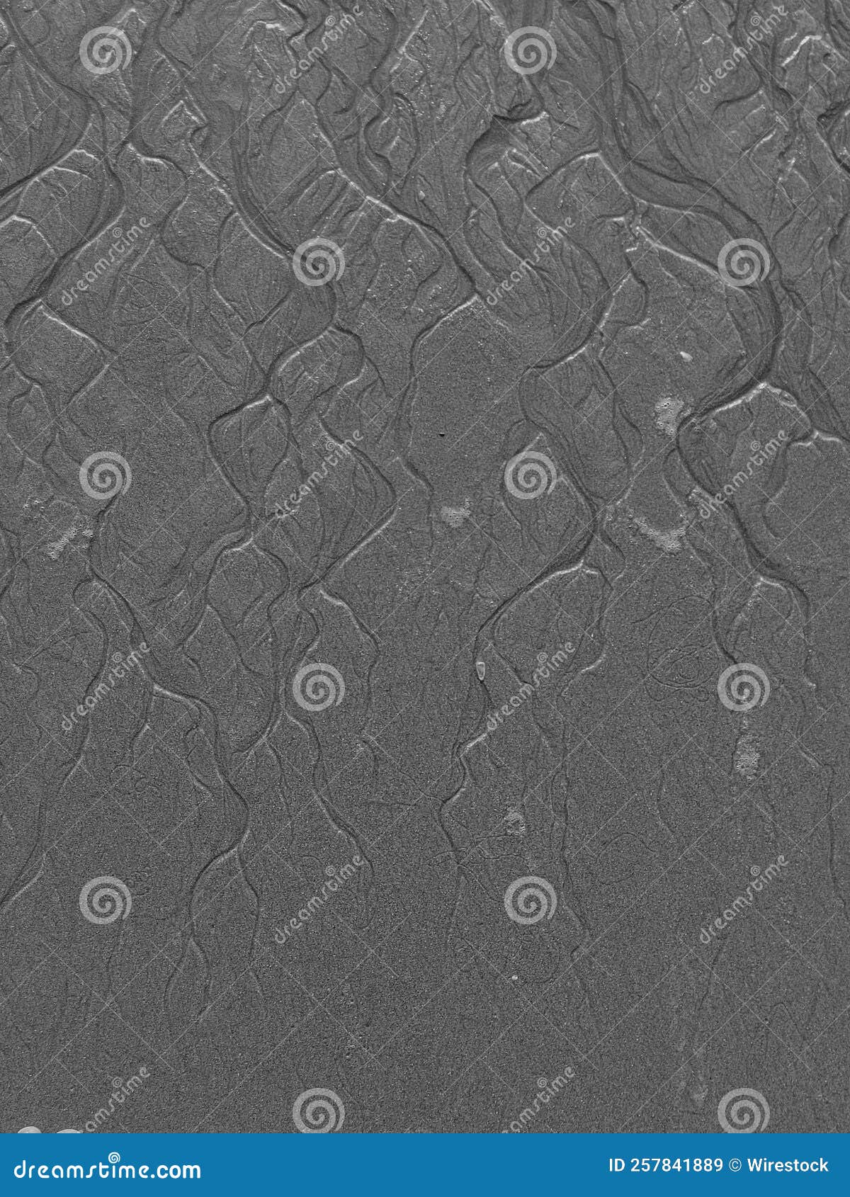 Vertical Greyscale Shot of the Wet Beach Sand Stock Image - Image of ...