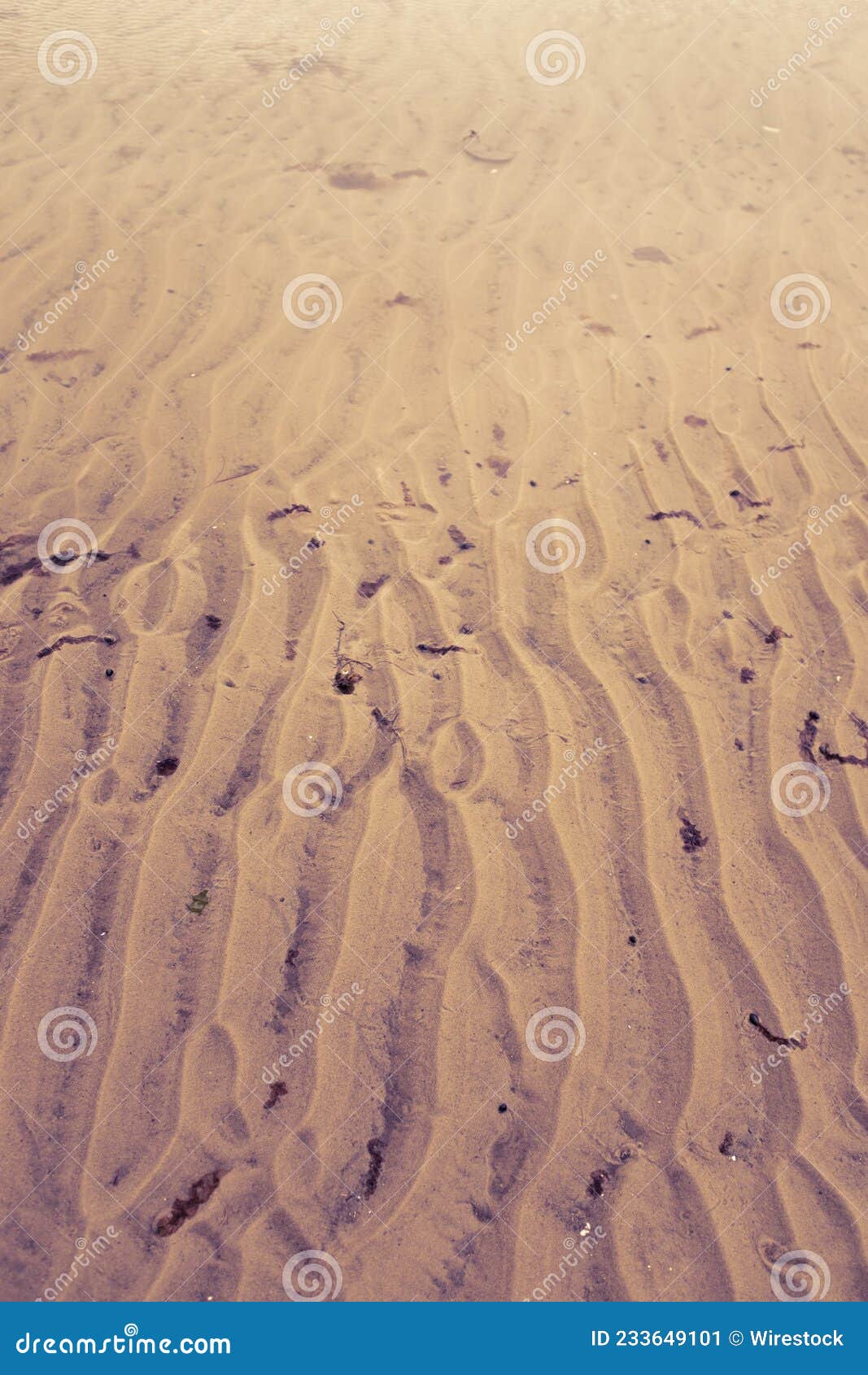 Vertical High Angle Closeup of Textured Sand Ripples at the Beach Stock ...