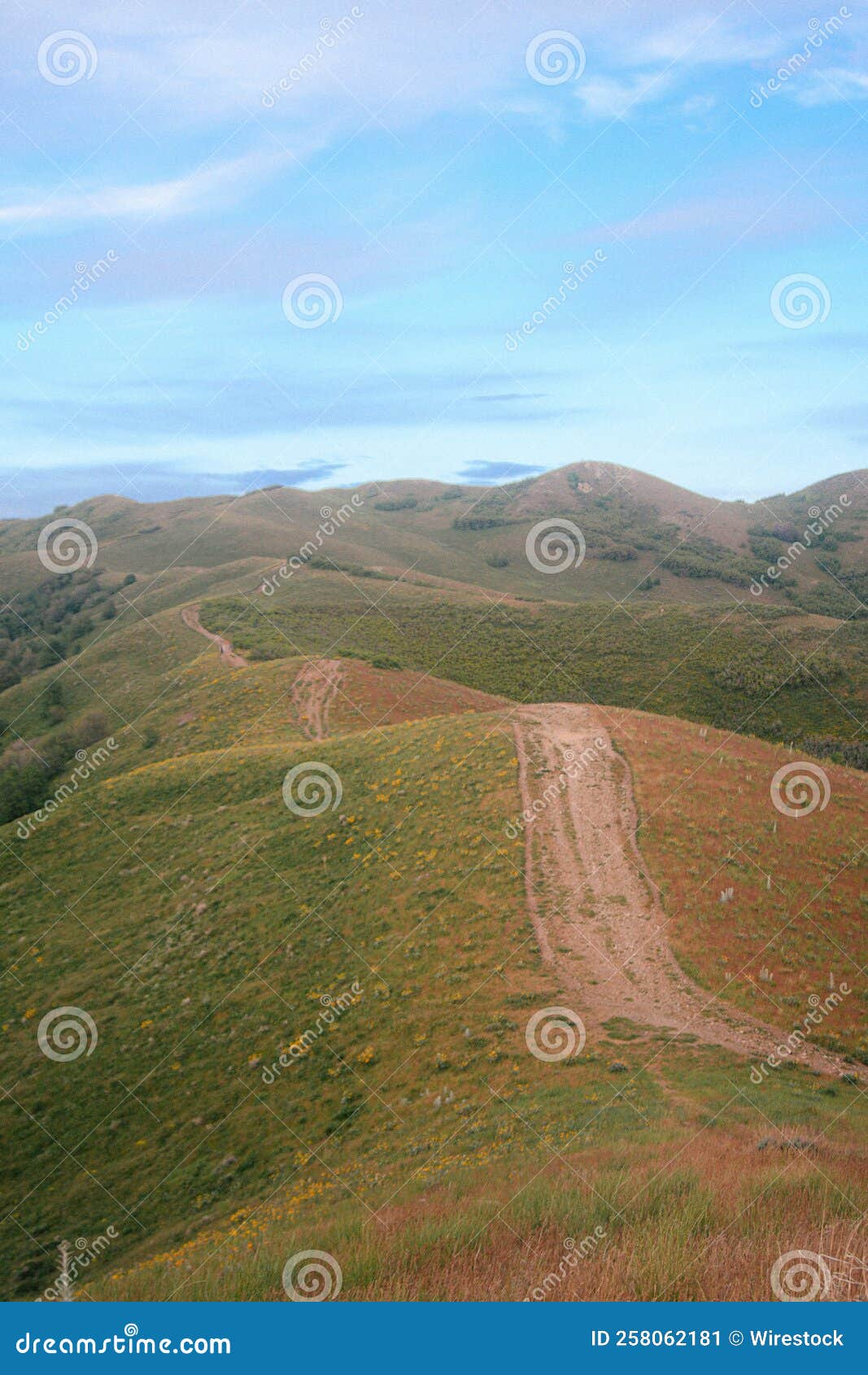 Vertical High-angle of a Dusty Path on the Green Mountains with a ...