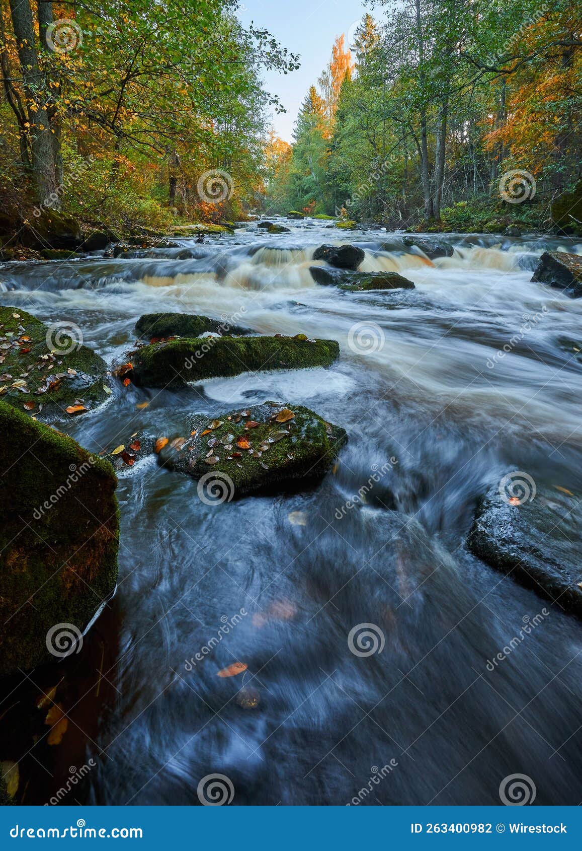 Vertical High Angle Long Exposure View of a River Flowing in a Forest ...