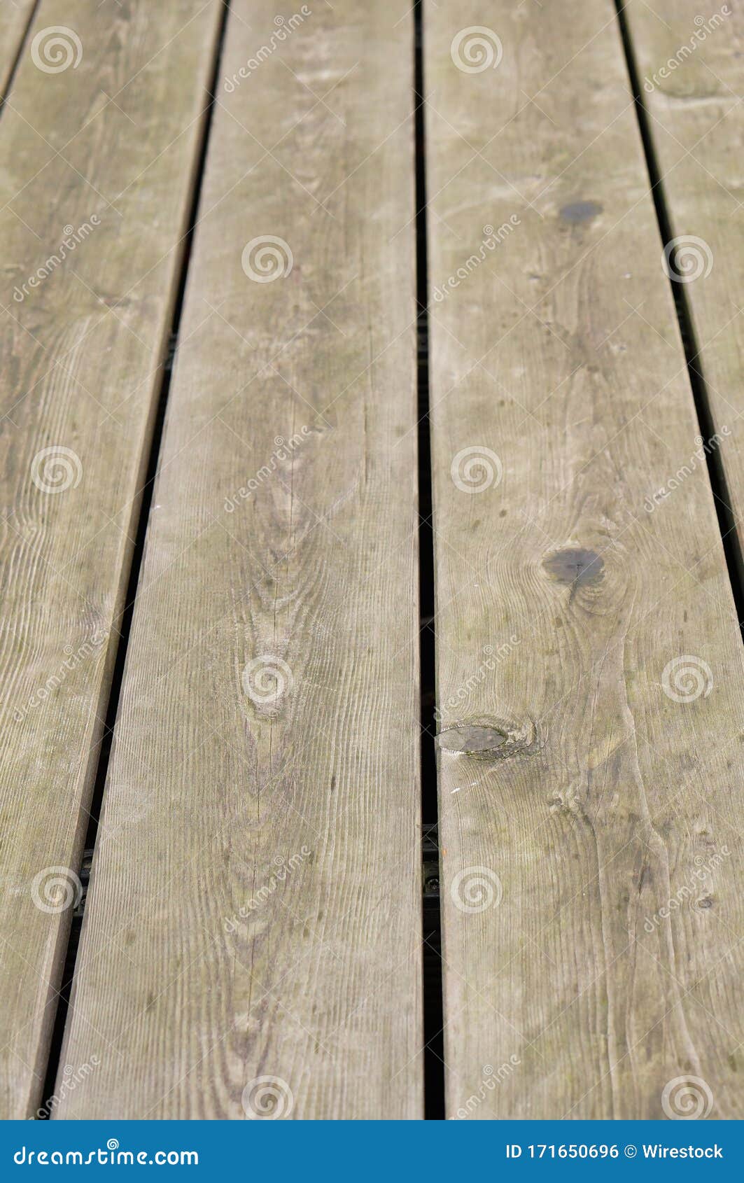 Vertical High Angle Shot of a Wooden Ground with Vertically Arranged ...
