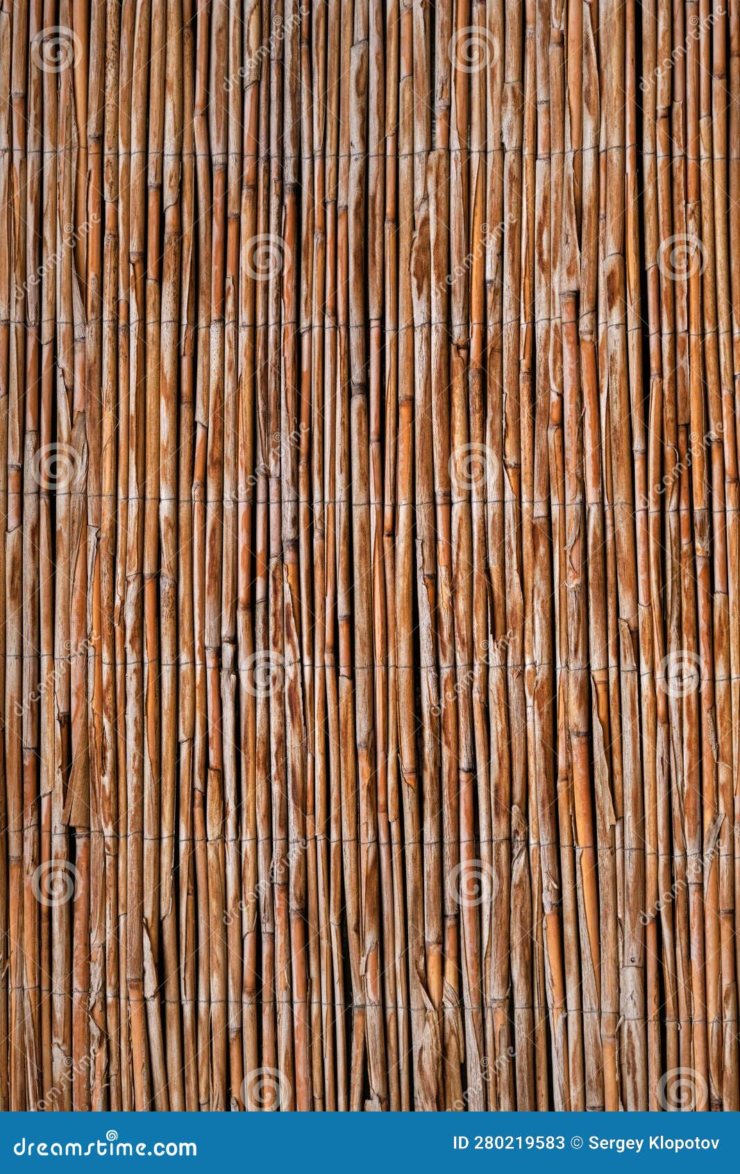 Vertical Image Abstract Background of Reed or Straw Branches Stock ...