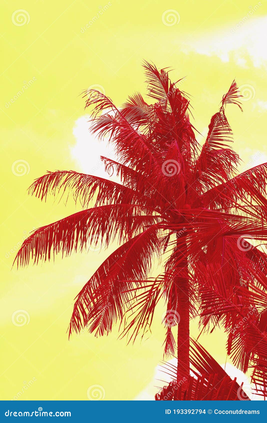 Vertical Image of Abstract Surreal Pop Art Style Red Palm Tree on ...