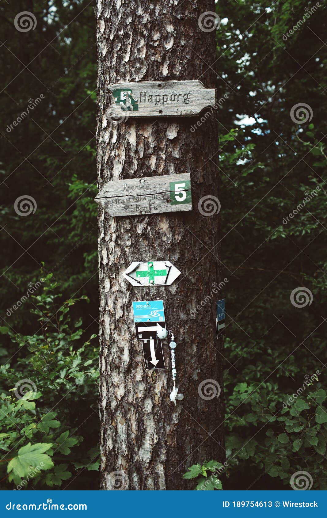Vertical Image of Arrows and Signs Attached on a Tree Trunk Stock Image ...